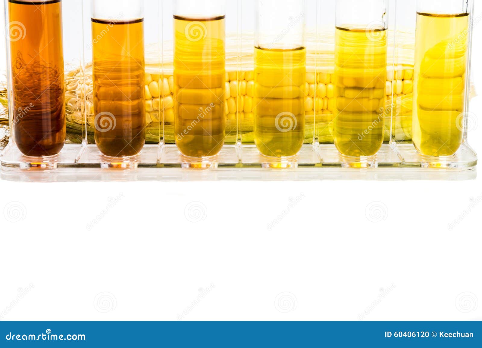 Corn Generated Ethanol Biofuel With Test Tubes On White Backgrou ...
