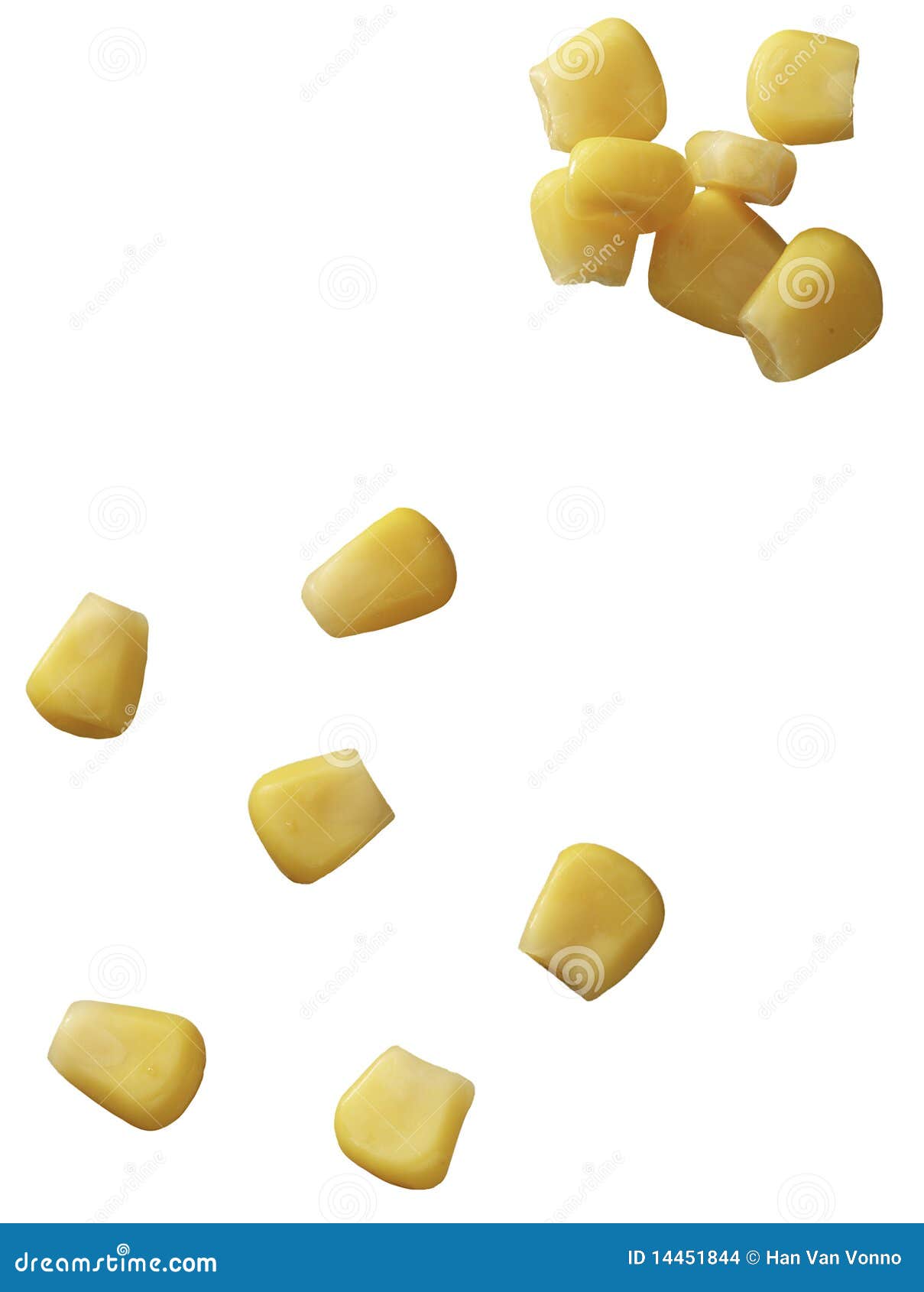 Corn grain stock photo. Image of south, sead, maize, sweet - 14451844
