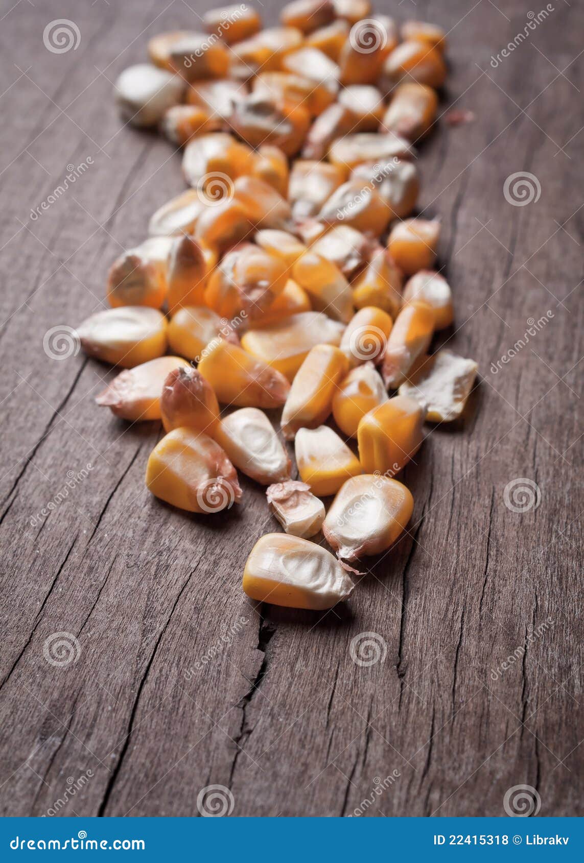 Corn grain stock photo. Image of sweetcorn, grained, close - 22415318