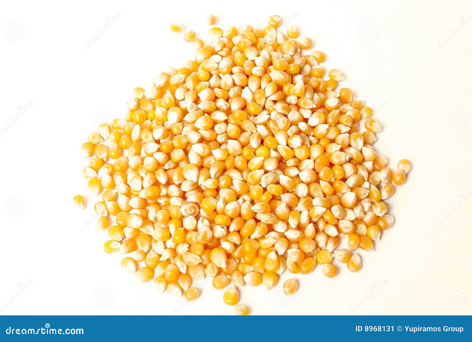 Corn grain stock image. Image of macro, organic, breakfast - 8968131