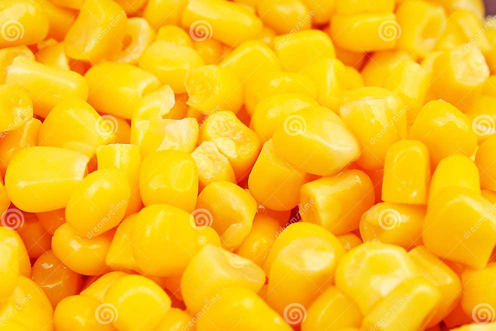 Corn Grain Texture. Yellow Corns As Background. Corn Vegetable Pattern ...