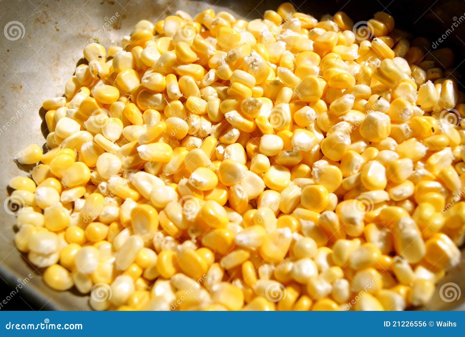 Corn grains stock photo. Image of delicacies, cornmeal - 21226556