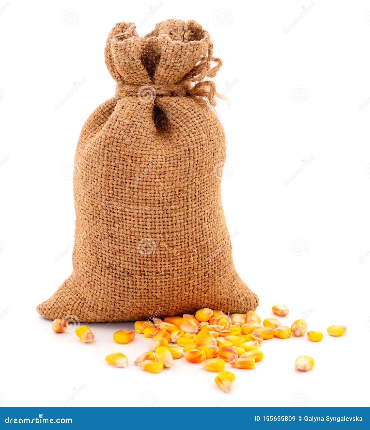 Corn grains in bag stock image. Image of dried, closeup - 155655809