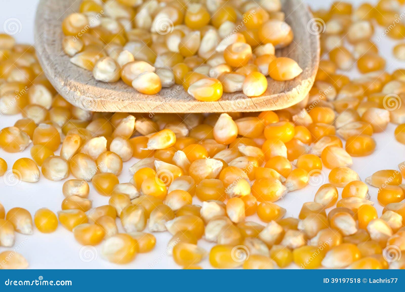 Corn grains stock photo. Image of baking, macro, breakfast - 39197518