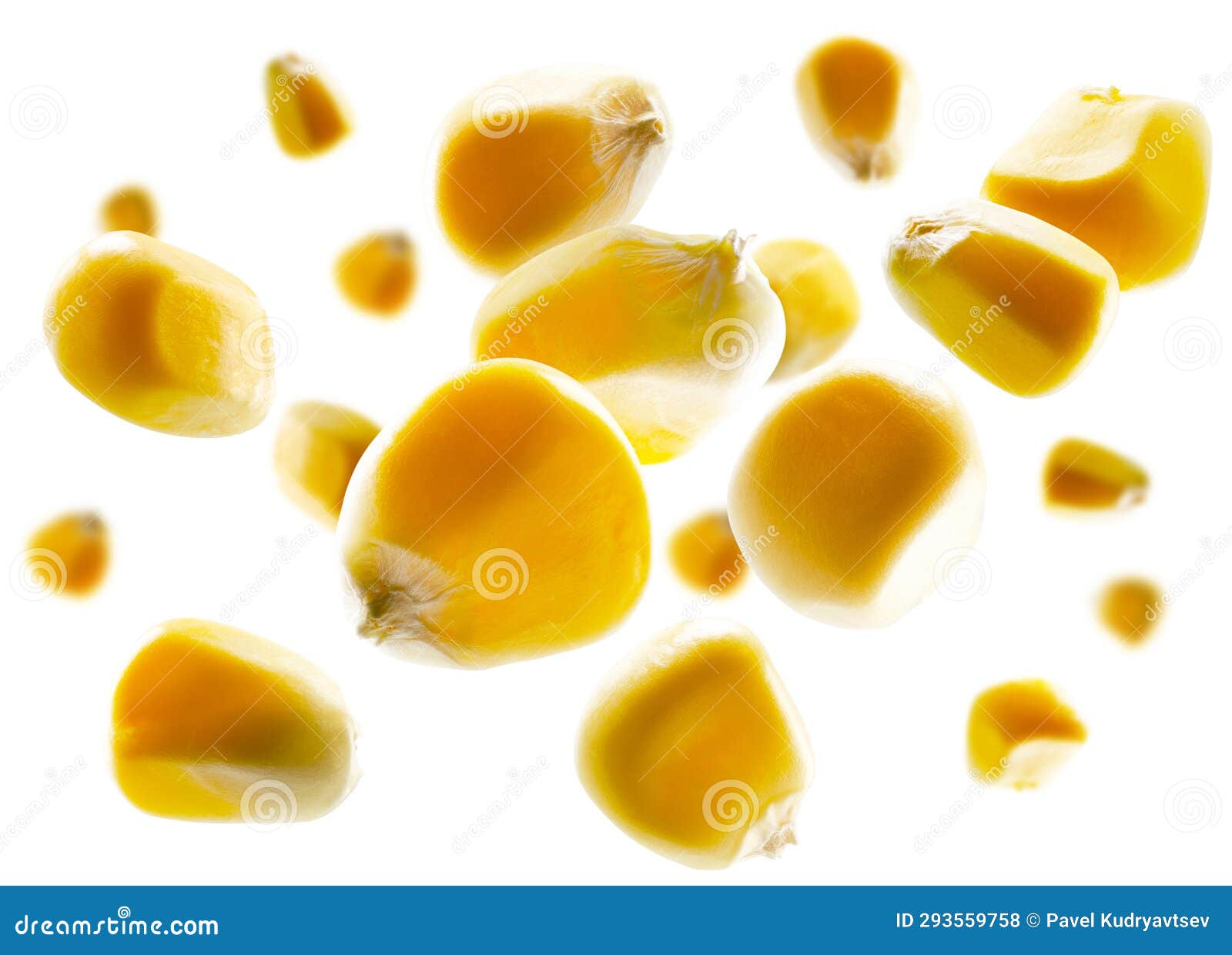 Corn Grains Fly and Levitate in Space. Volumetric Light from Behind ...