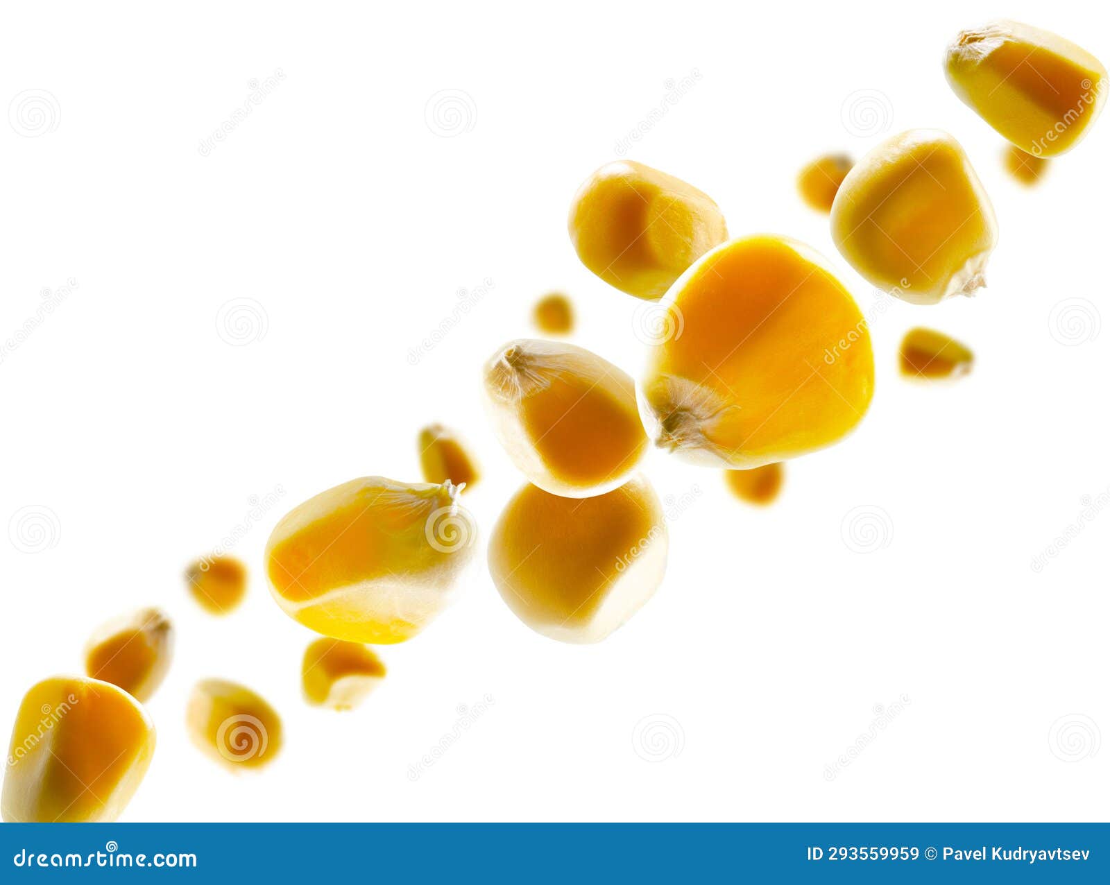 Corn Grains Fly in Space Forming a Chain Shape. Volumetric Light from ...