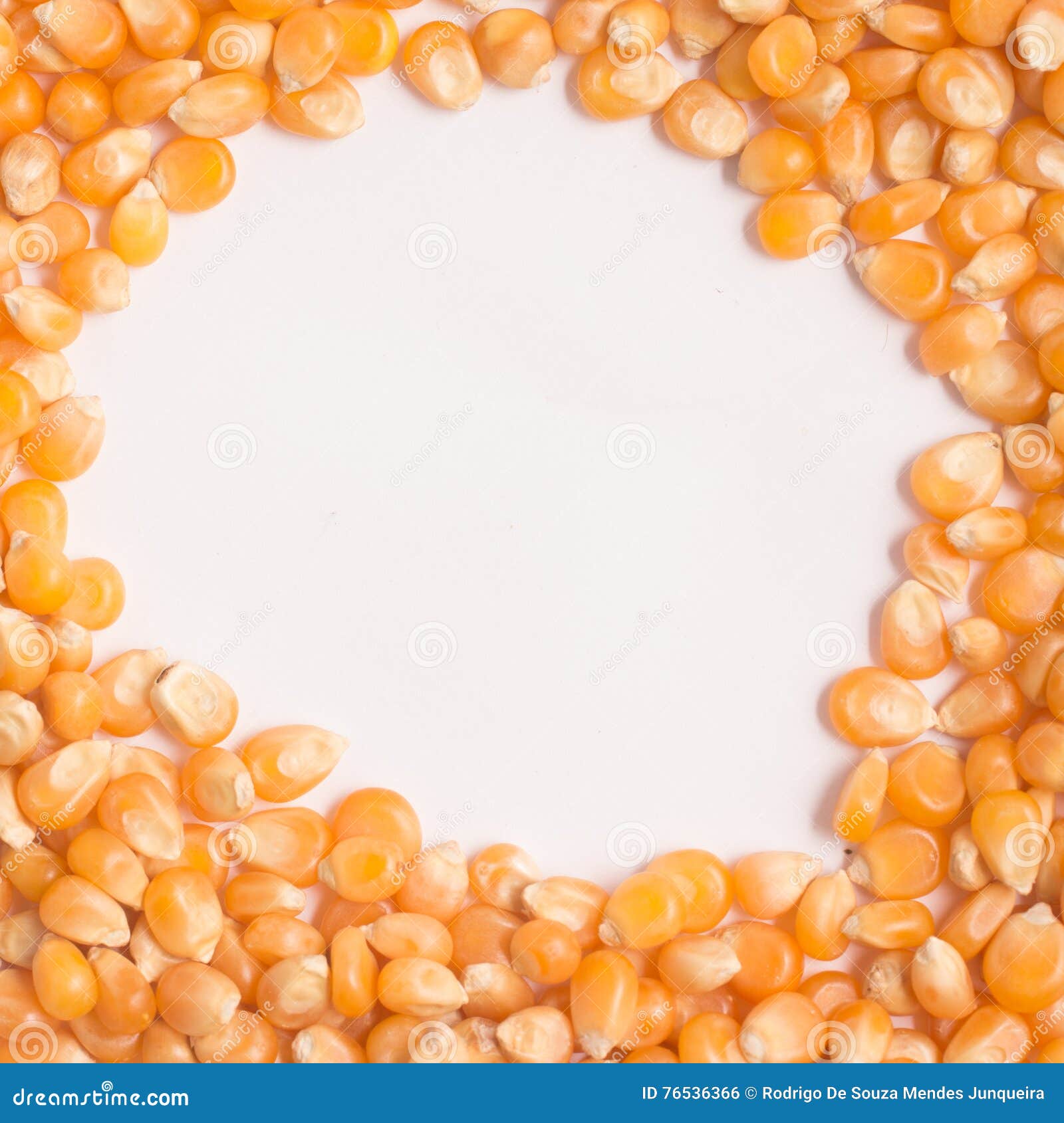 Corn Grains Frame stock photo. Image of macro, grain - 76536366