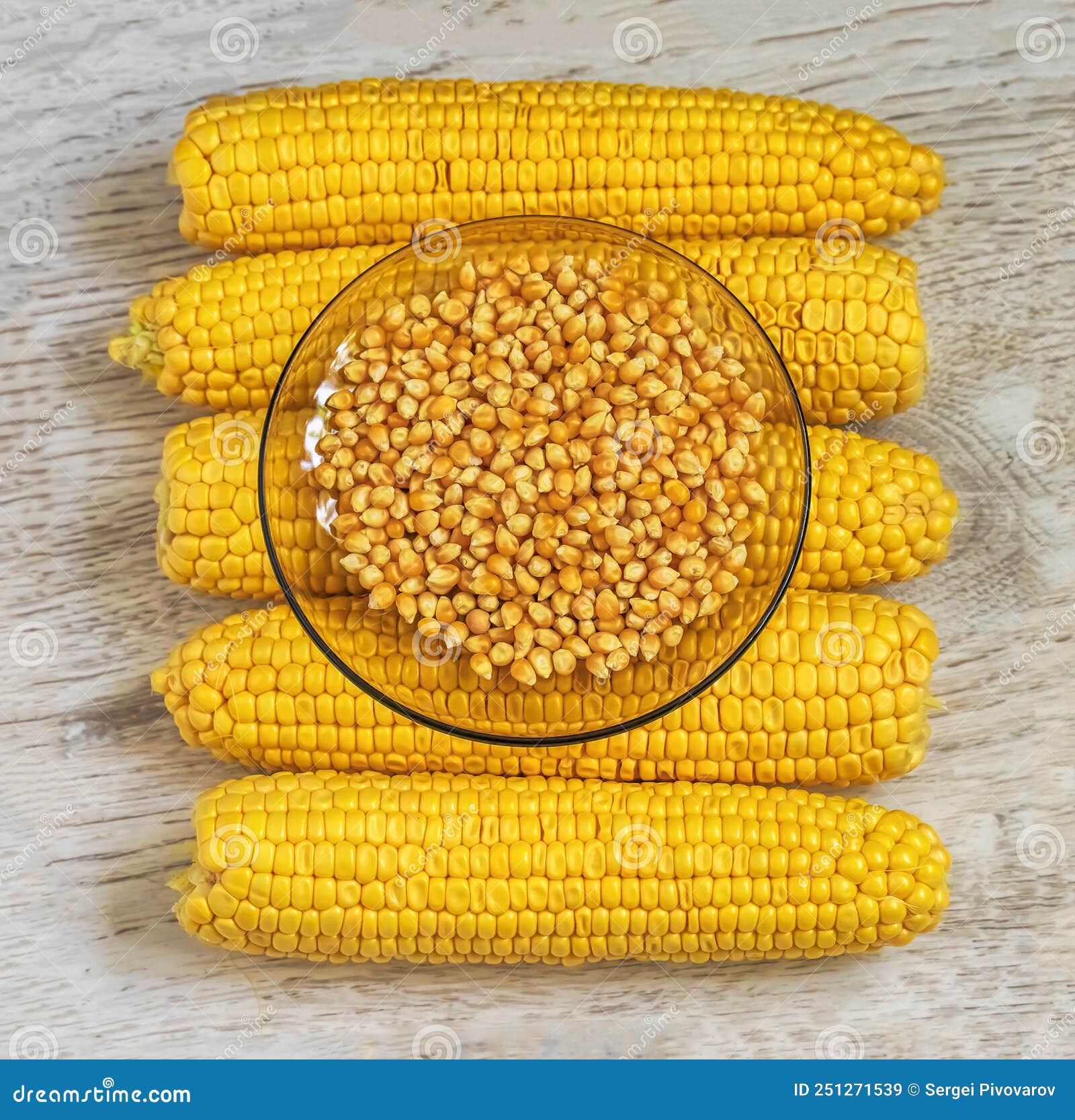 Corn Grains on a Plate on the Background of Fresh Cobs, Autumn Harvest ...