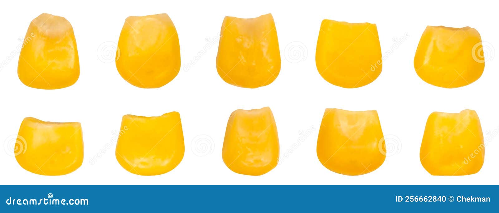 Corn Grains Set. Color Image of Several Corn Kernels. Vector Mesh ...