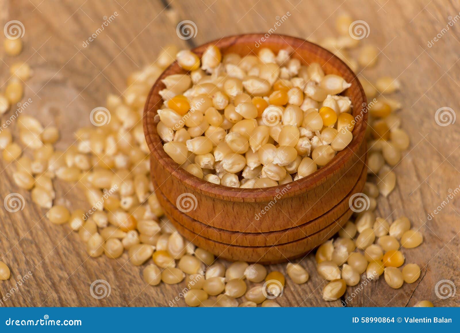 Corn grains stock photo. Image of leaf, healthy, cooking - 58990864