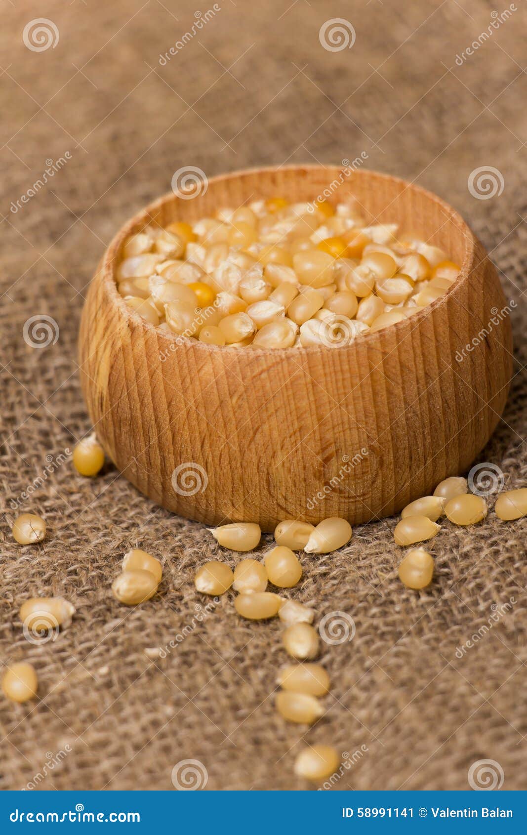 Corn grains stock image. Image of natural, cooking, health - 58991141
