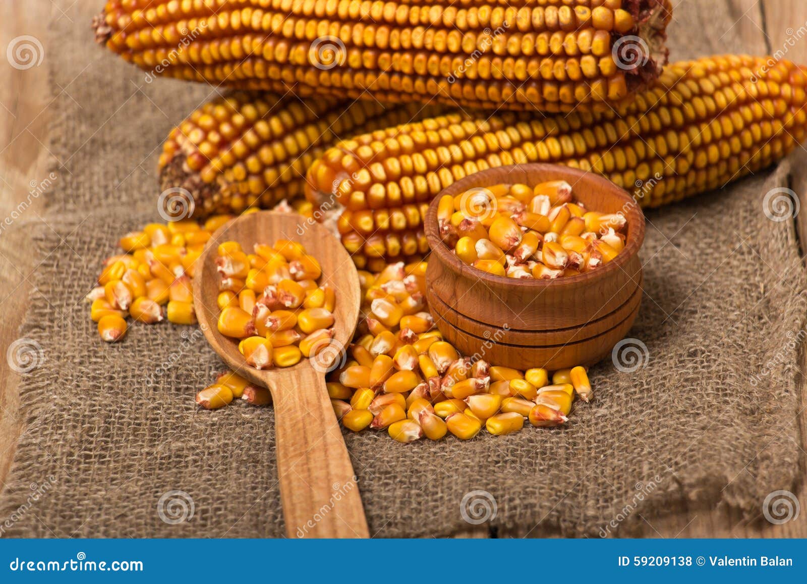 Corn grains stock photo. Image of corn, food, cereal - 59209138