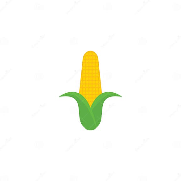 Corn Graphic Design Template Vector Isolated Stock Illustration ...