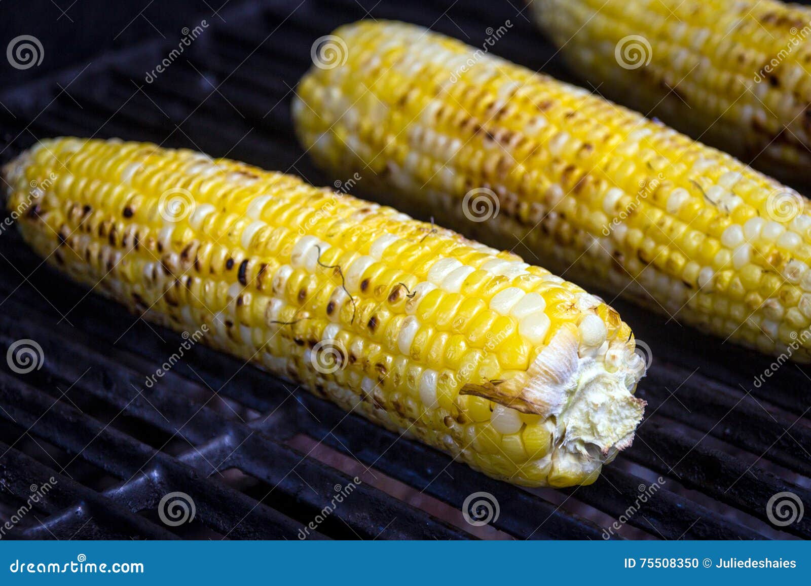 Corn grilling on barbecue stock photo. Image of grilling - 75508350
