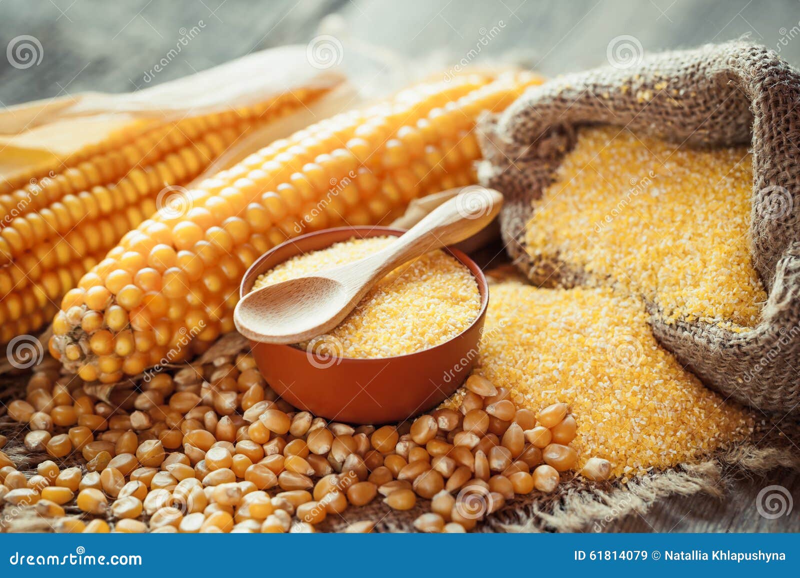 Corn Groats and Dry Seeds, Corncobs on Table. Stock Image - Image of ...