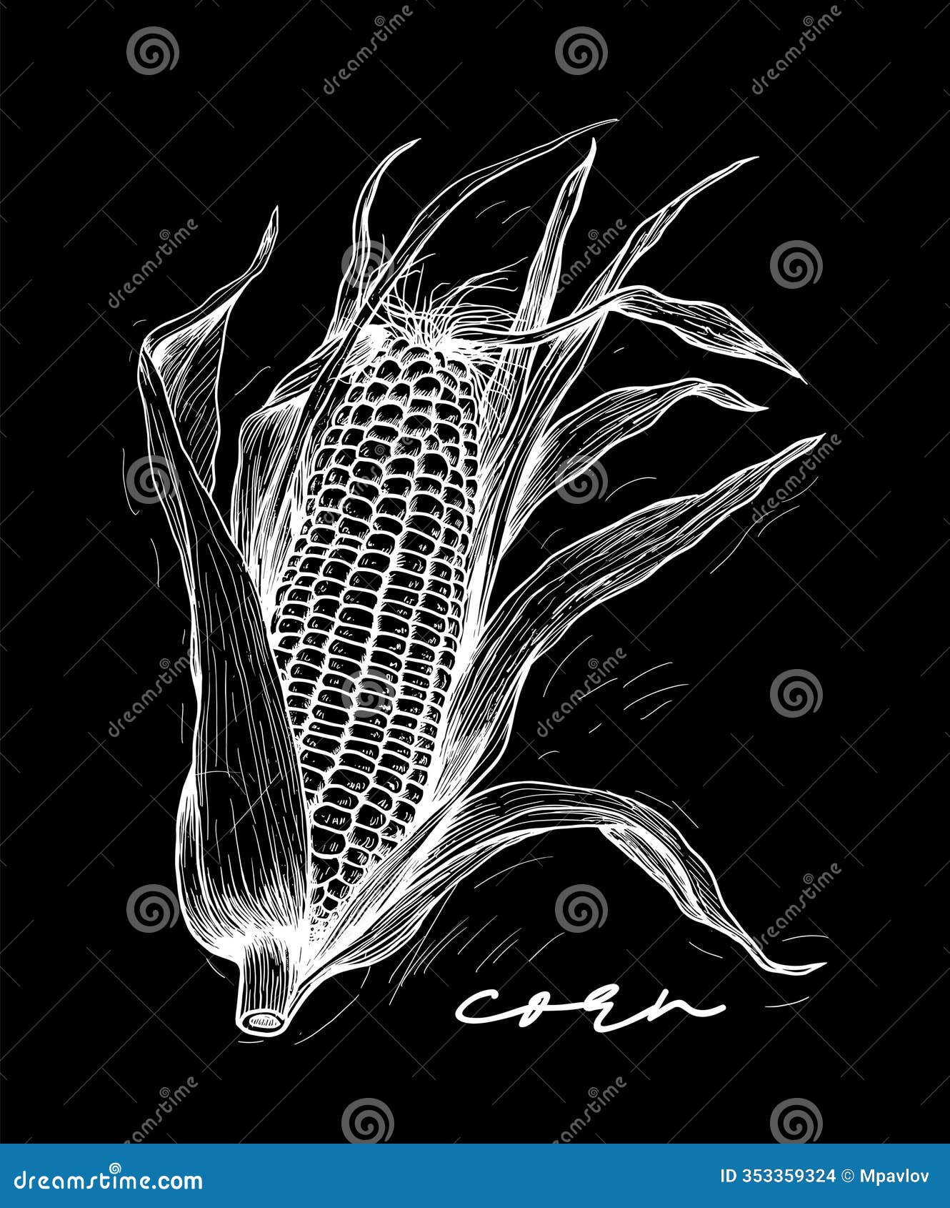 Corn Hand Drawn Vector Illustration. Isolated Maize Sketch. Vegetable ...
