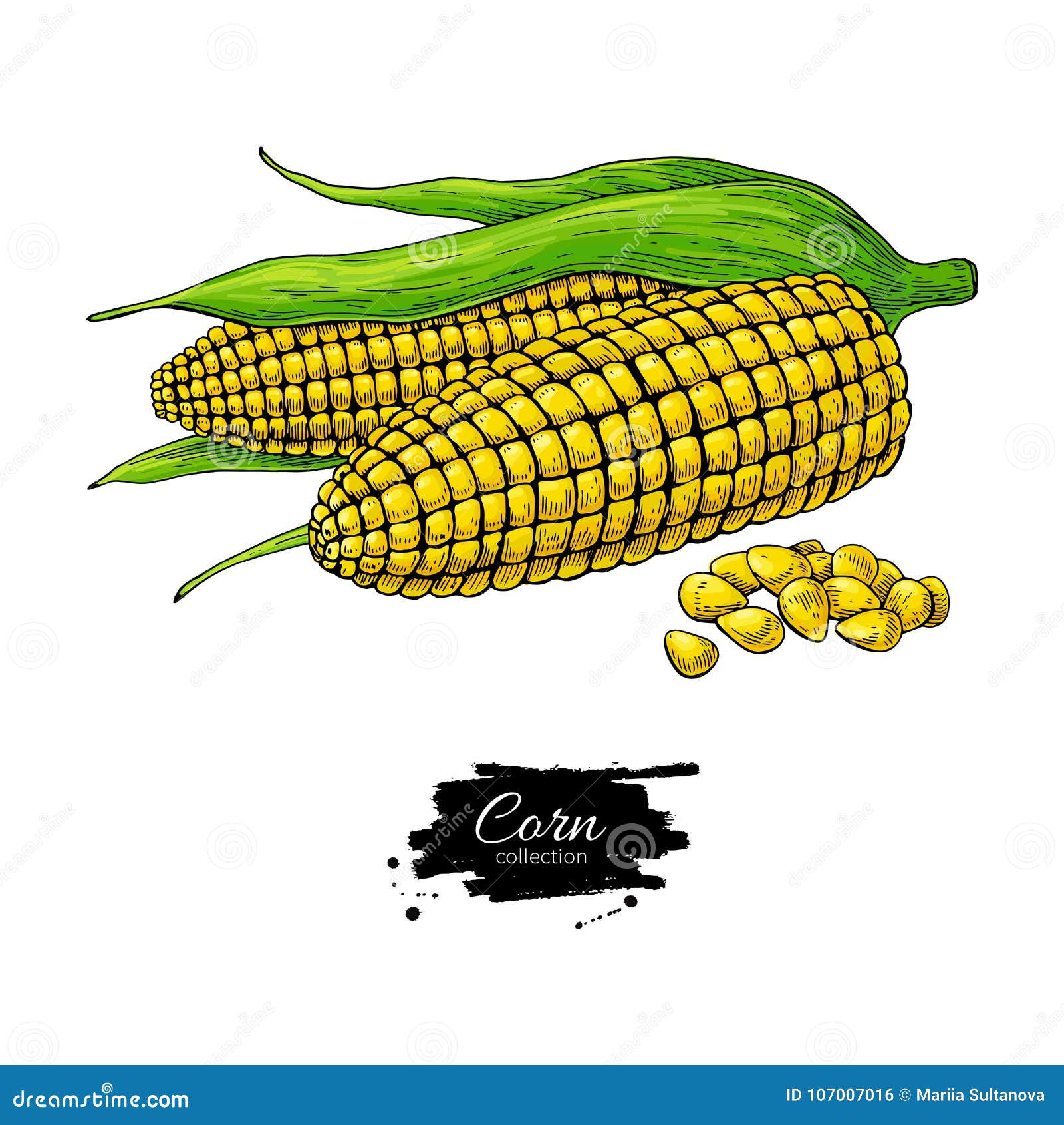 Corn Hand Drawn Vector Illustration. Isolated Vegetable Stock Vector ... Corn Hand Drawn Vector Illustration. Isolated Vegetable Stock Vector ...
