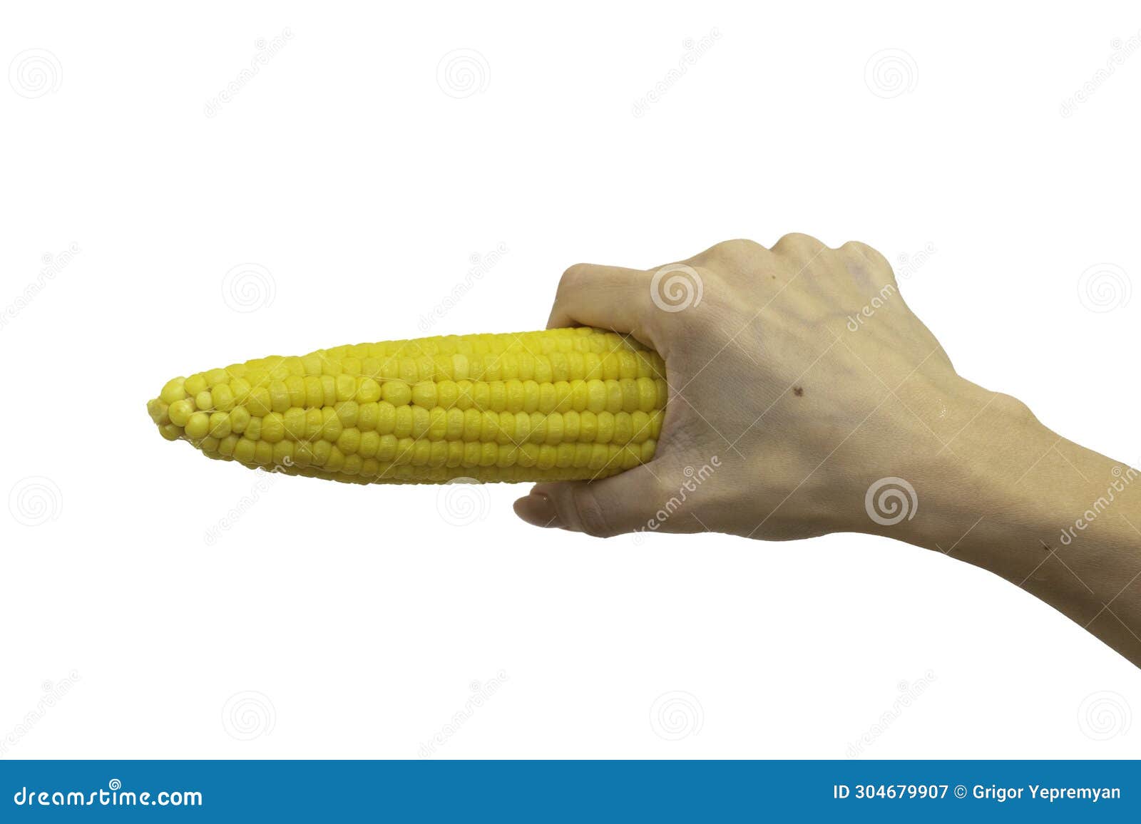 Corn in Hand Path Isolated on White Stock Image - Image of closeup ...