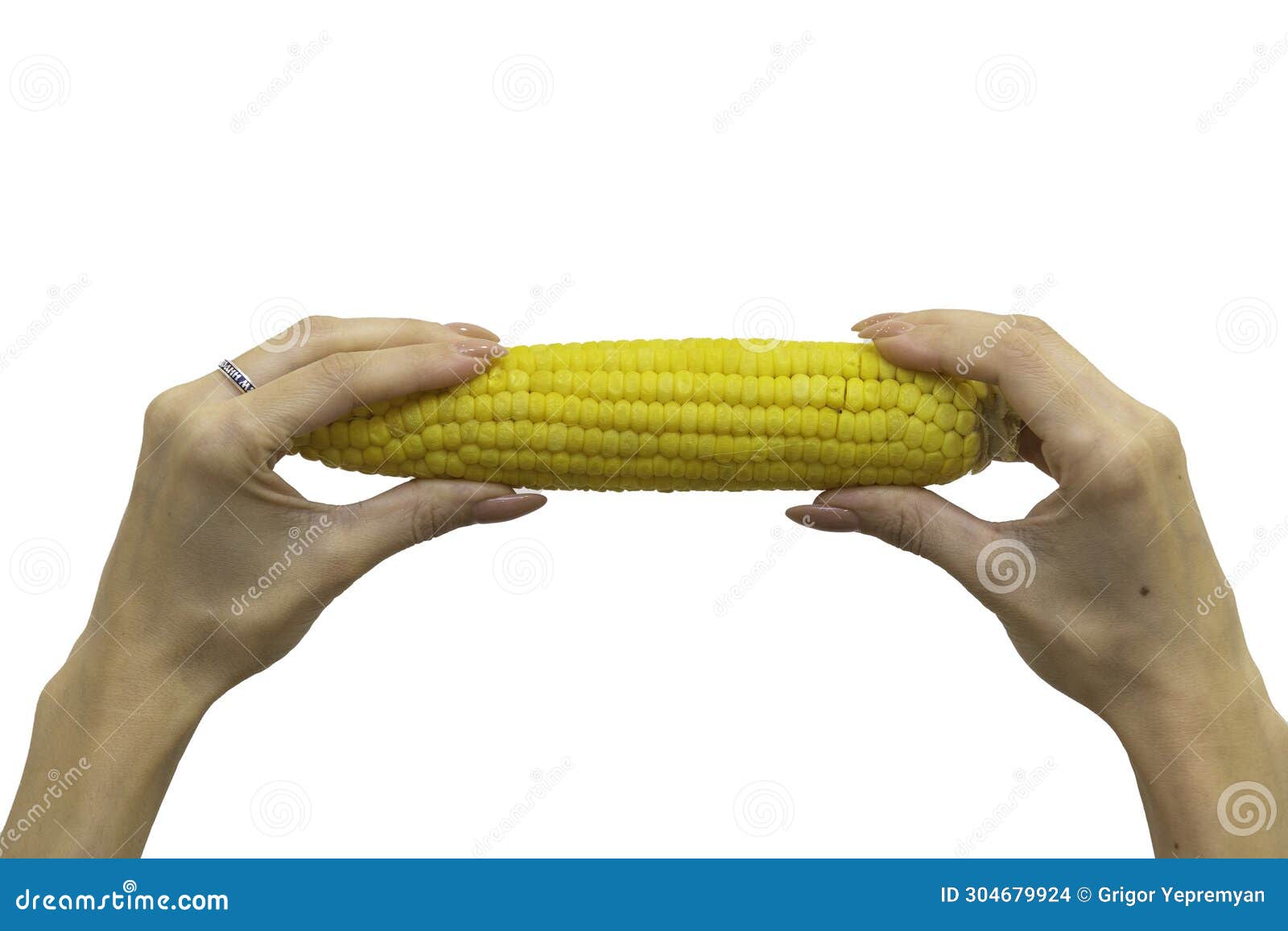 Corn in Hand Path Isolated on White Stock Photo - Image of corn ...