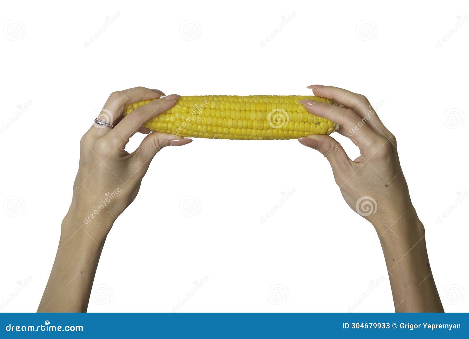 Corn in Hand Path Isolated on White Stock Image - Image of sweet ...