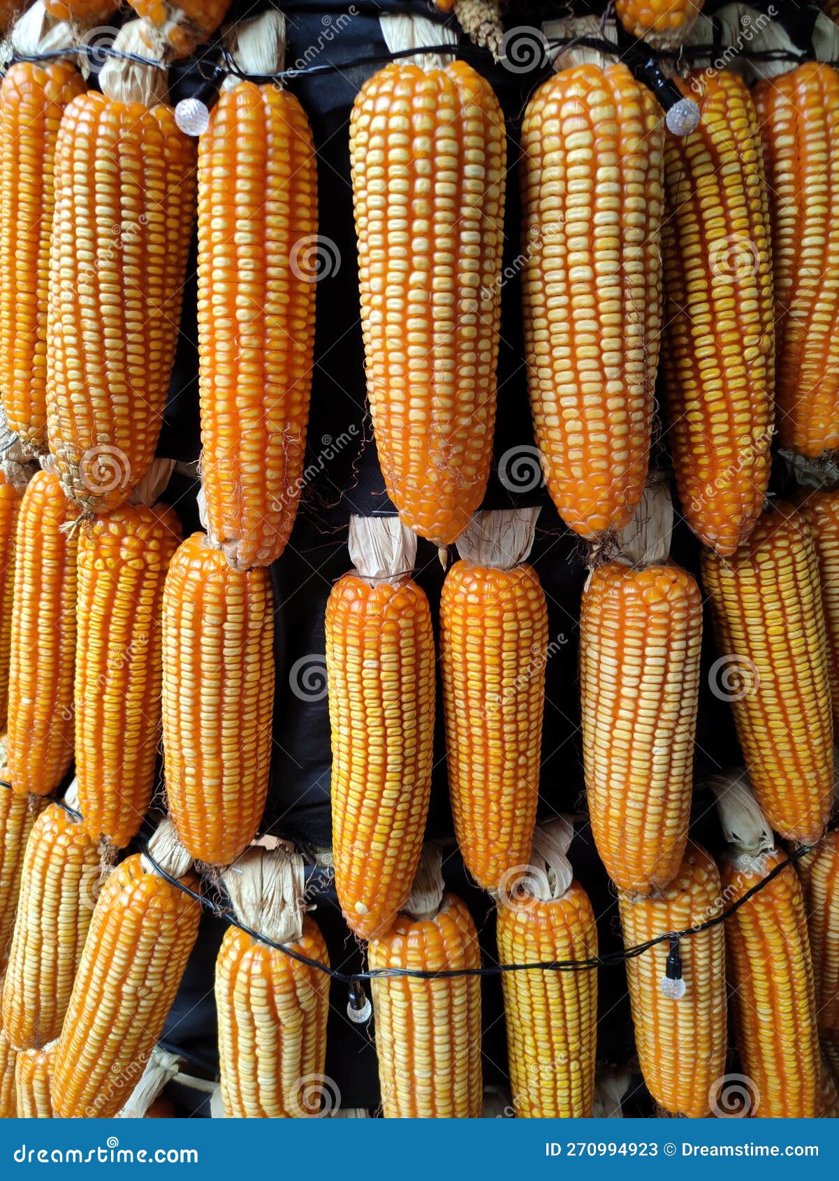 Corn Handy craft stock image. Image of cuisine, vegetable - 270994923
