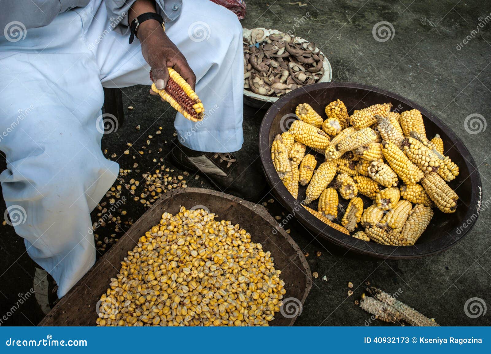 Corn Harvest in the Andes stock image. Image of corn - 40932173
