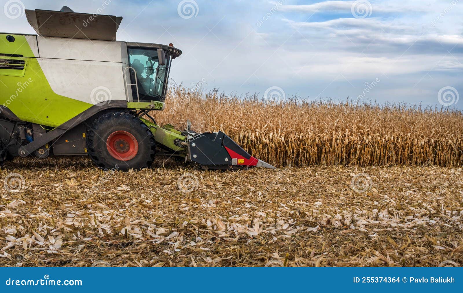 Corn Combine Harvester in the Field Editorial Stock Image - Image of ...