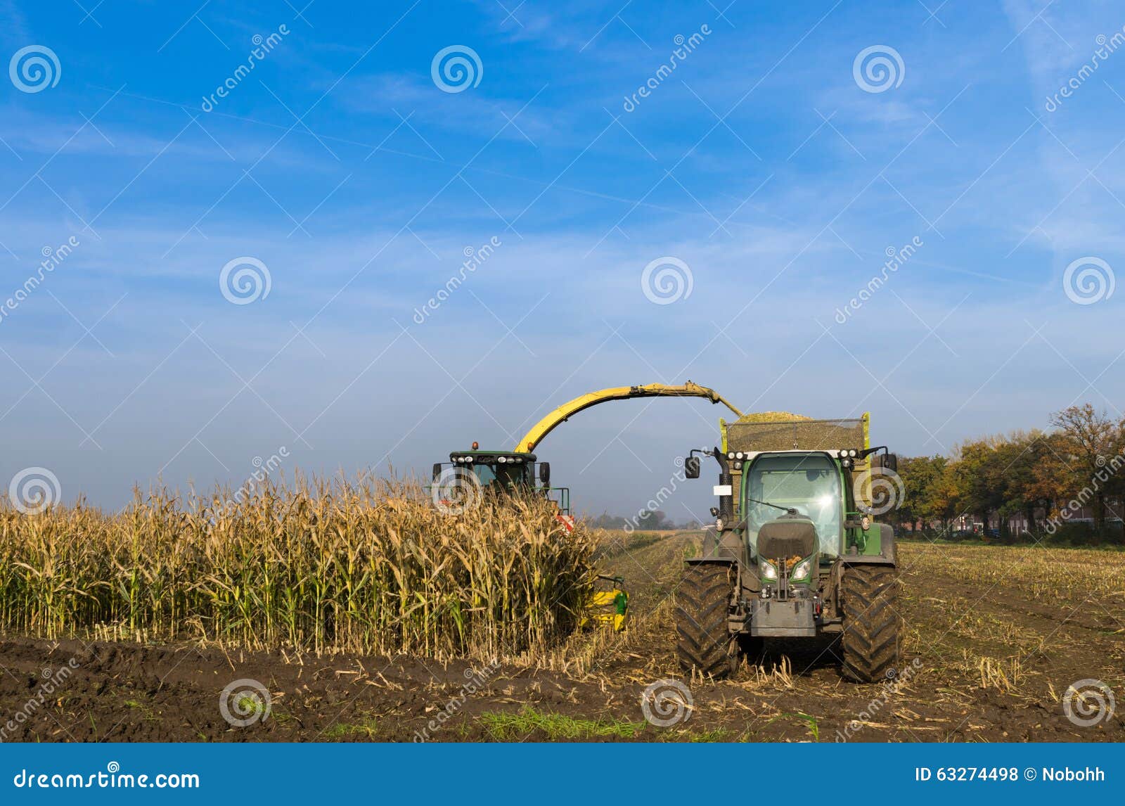 Corn Harvester in the Corn Crop for the Agricultural Sector Stock Photo ...