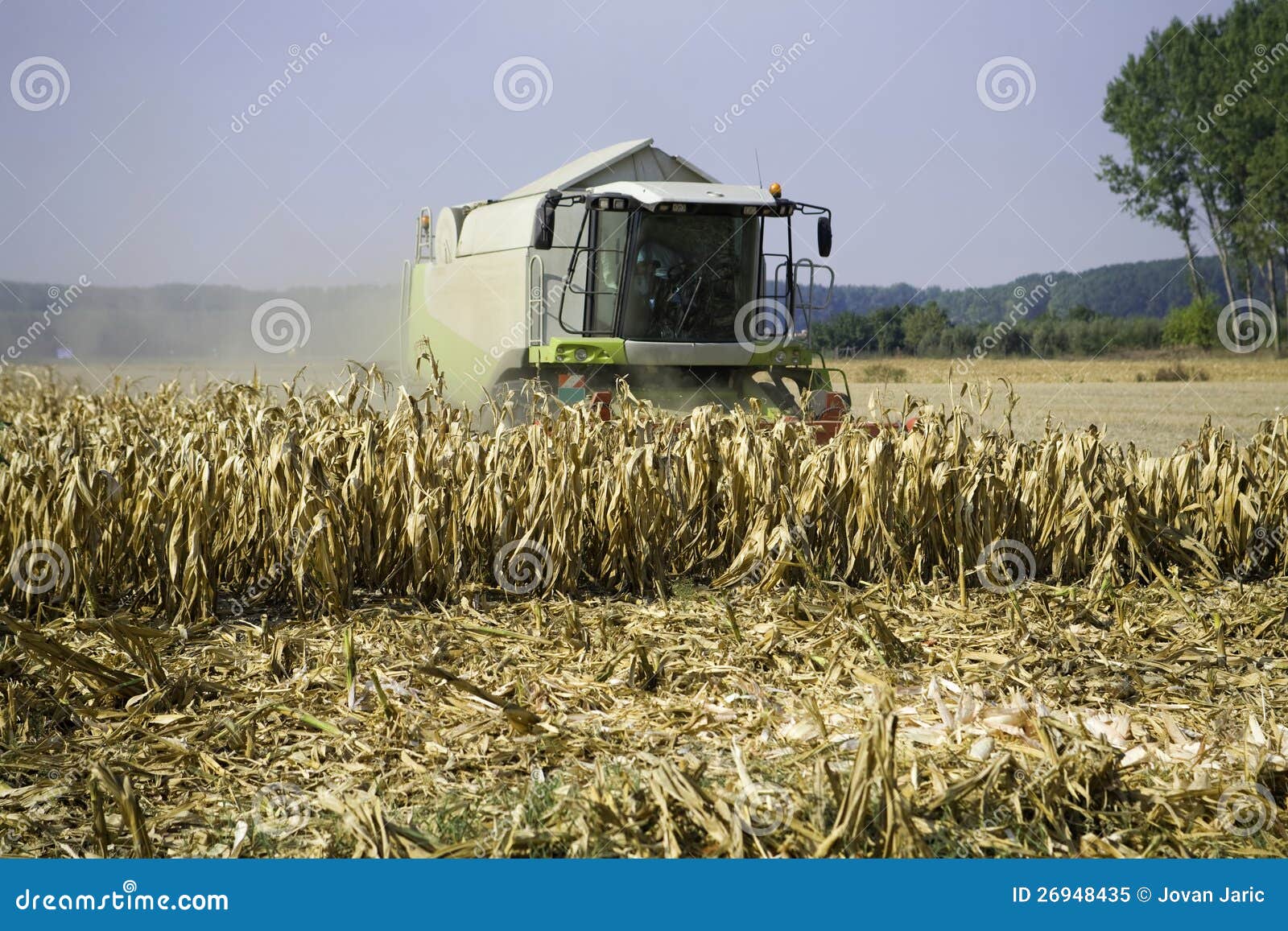 Corn harvesting stock image. Image of rural, countryside - 26948435