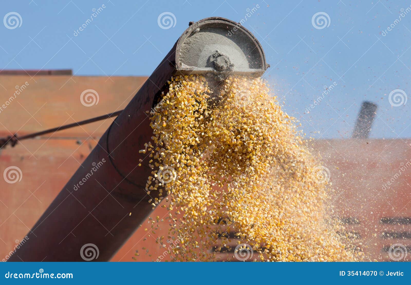 Corn harvesting stock photo. Image of equipment, gold - 35414070