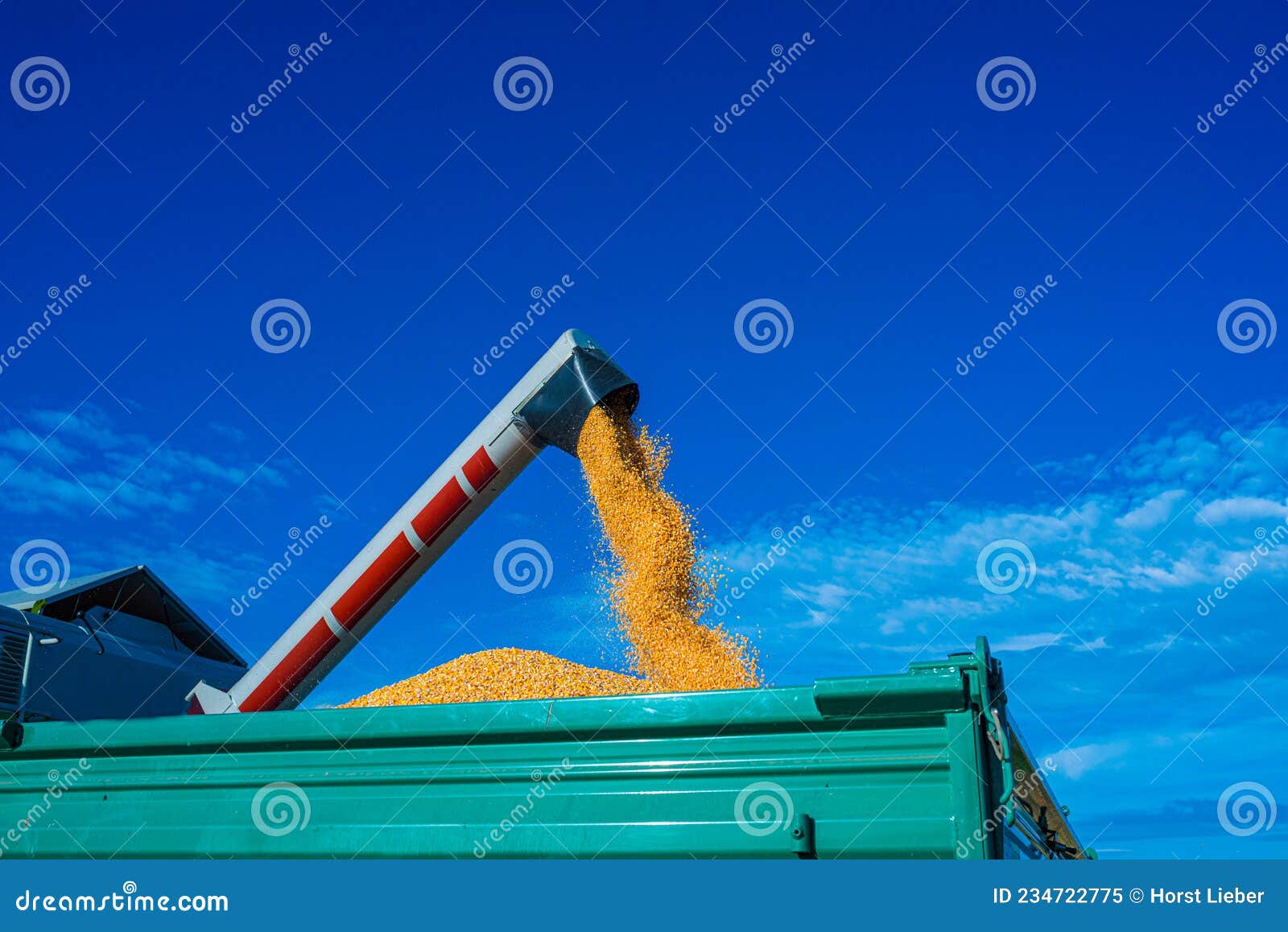 Corn Harvesting Machines when Unloading_Baden Baden_Southern Germany ...