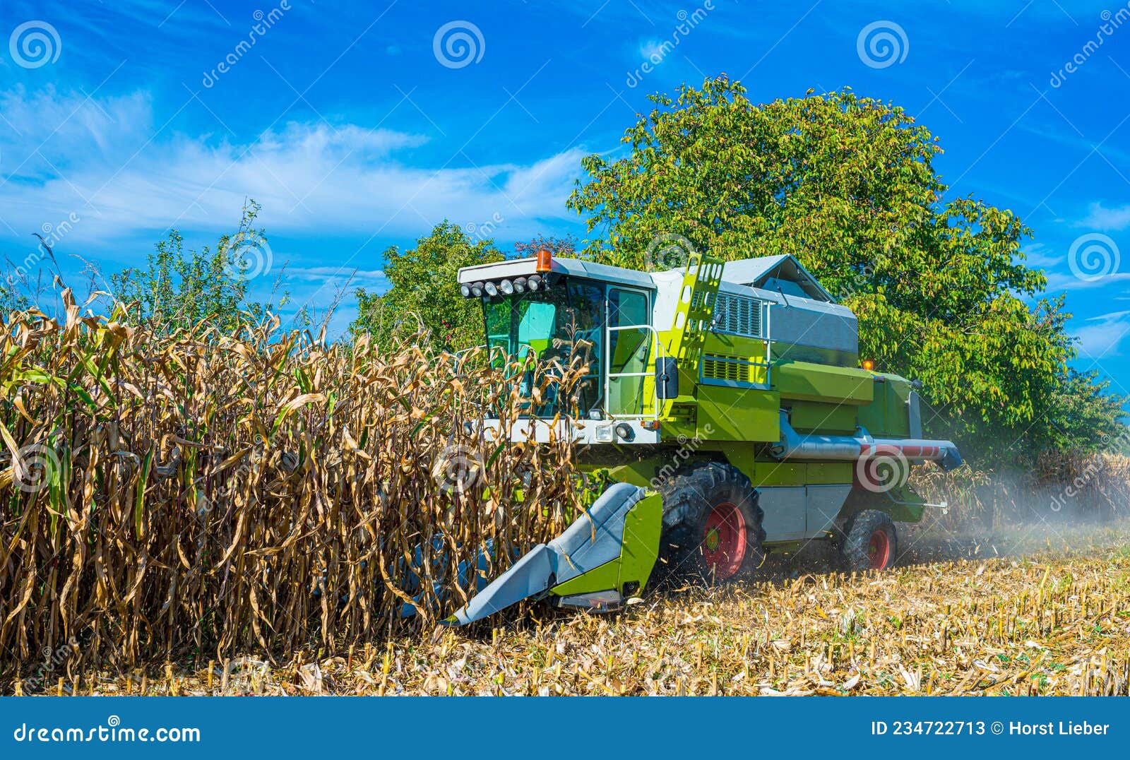 Corn Harvesting Machines Used For Harvesting_Baden Baden_Southern ...
