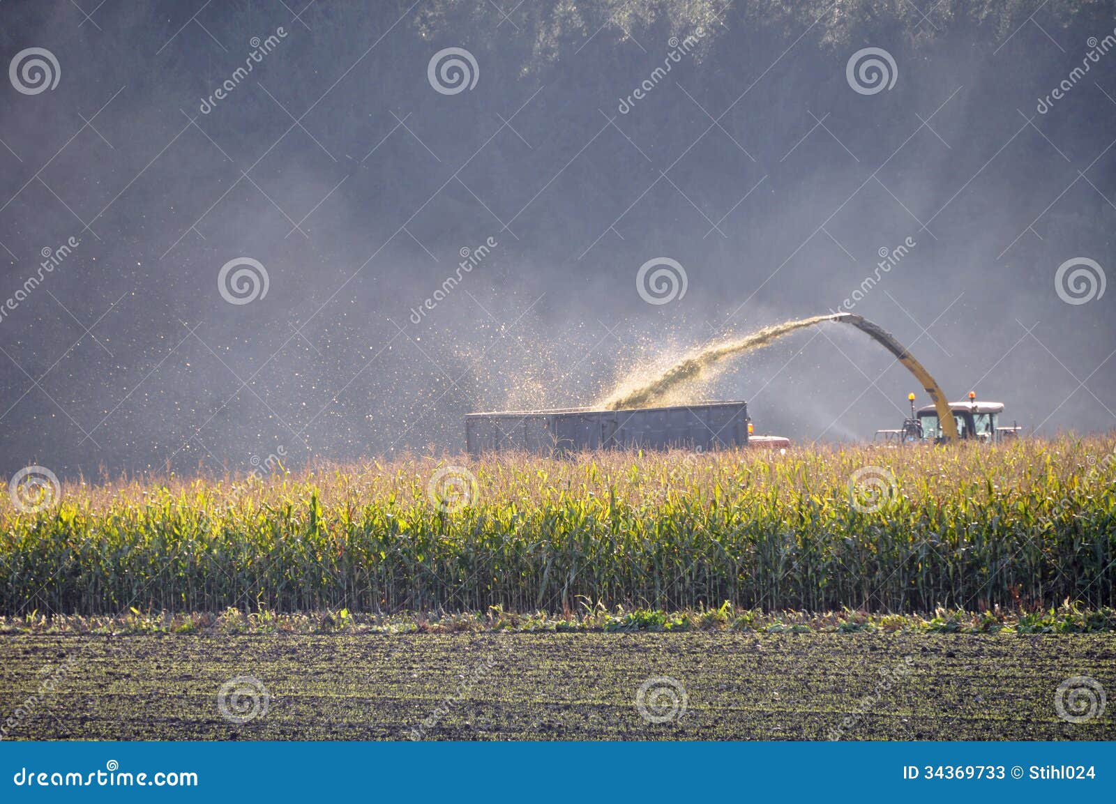 Corn harvesting shredder stock image. Image of diesel - 34369733