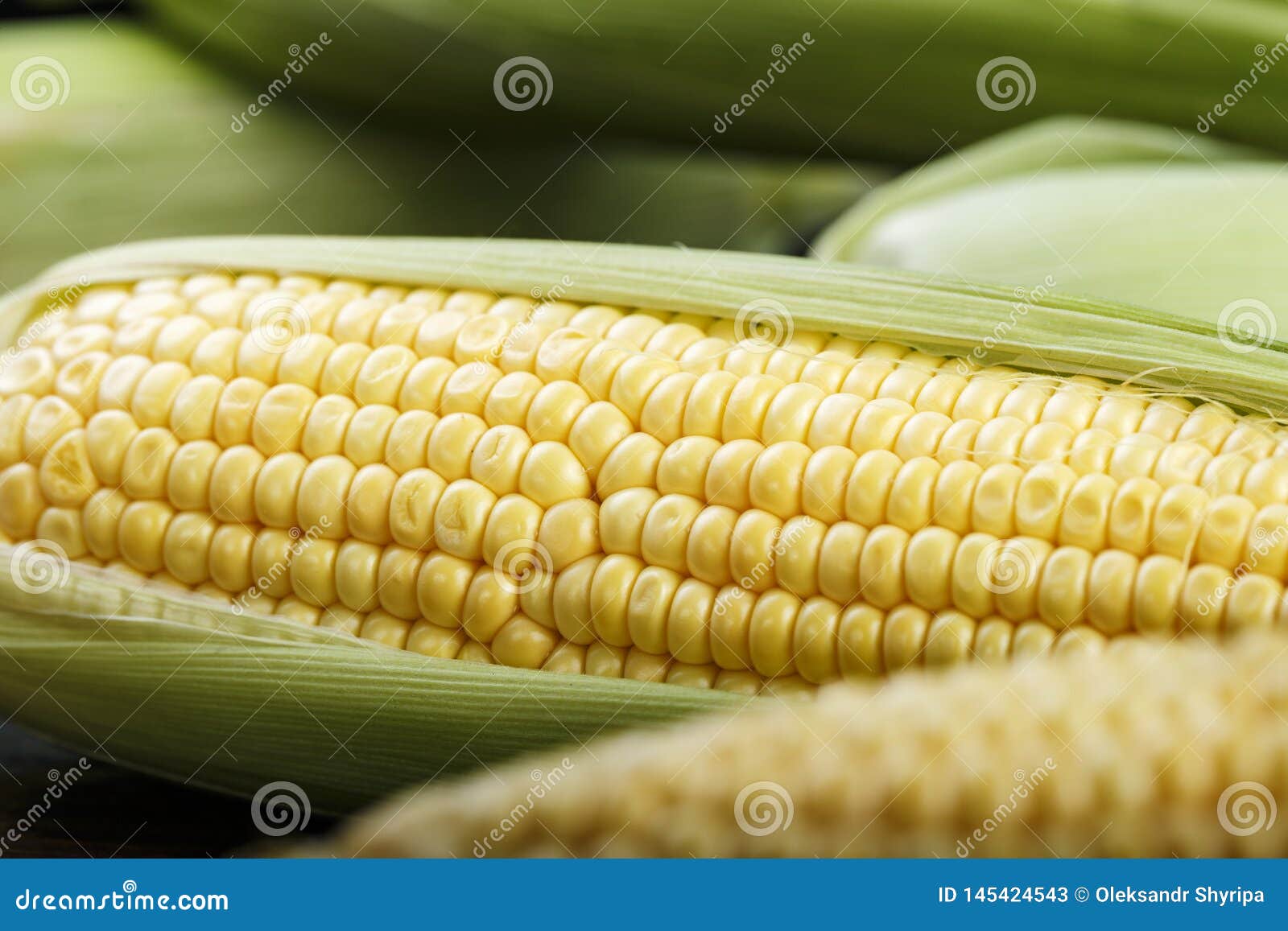 Corn heads close up stock image. Image of closeup, cake - 145424543