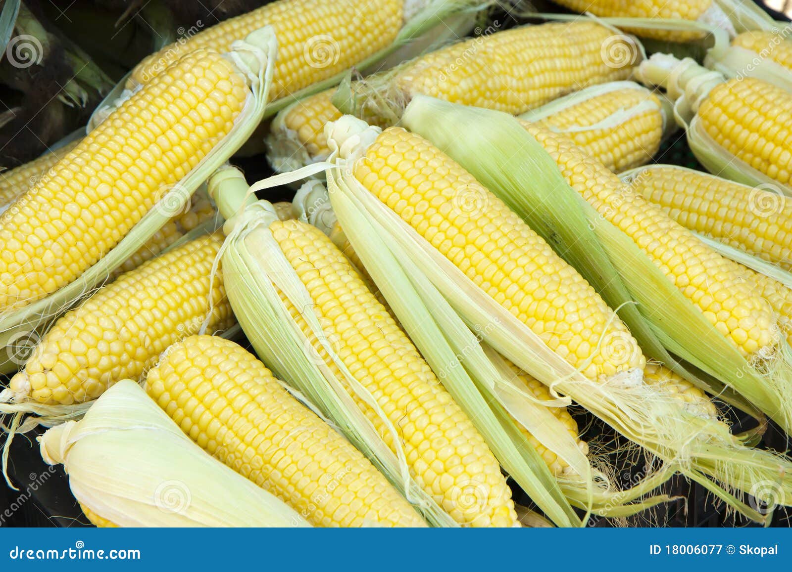 Corn heap stock image. Image of market, store, husk, maize - 18006077
