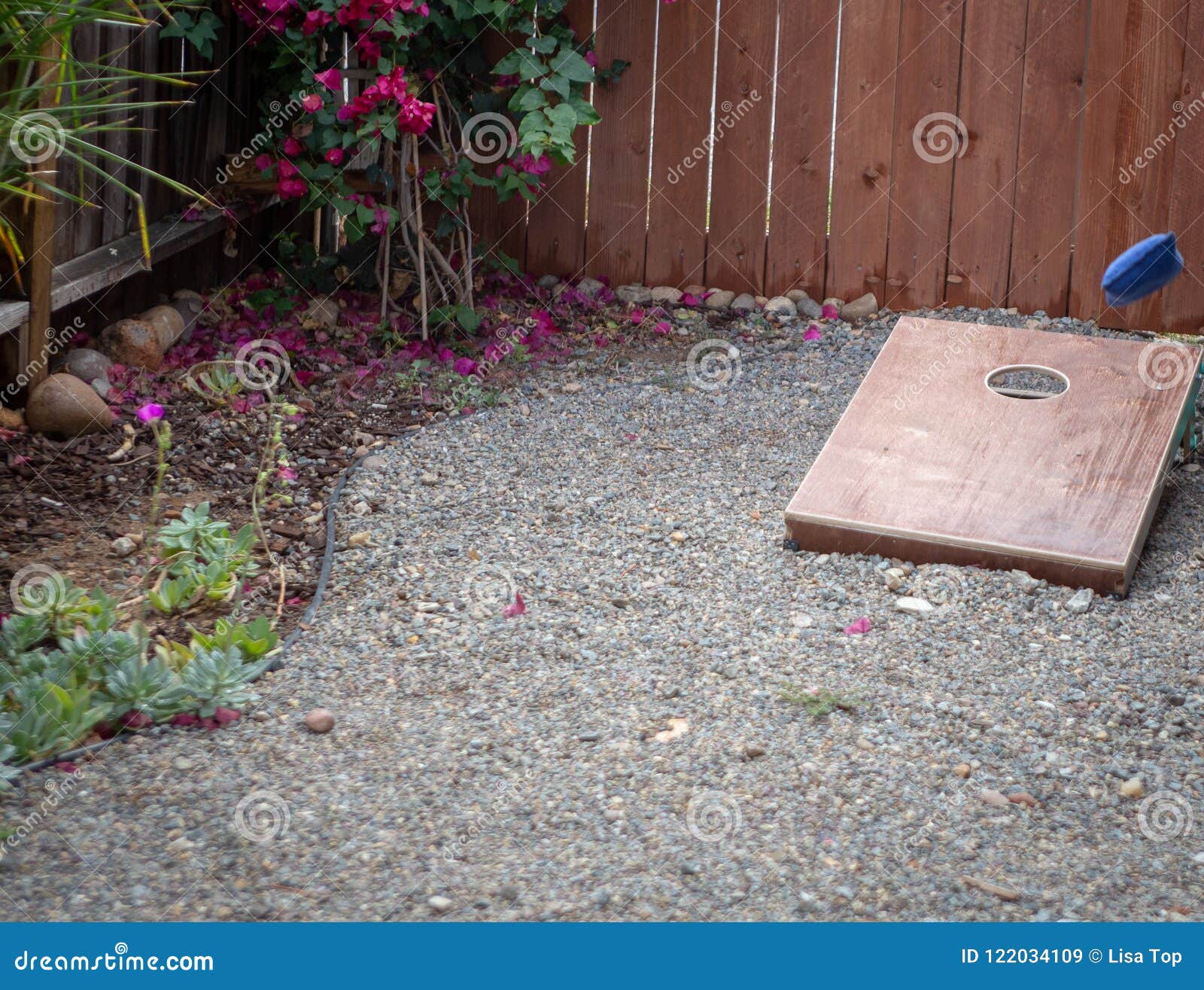 Corn hole game stock image. Image of corn, hole, people - 122034109