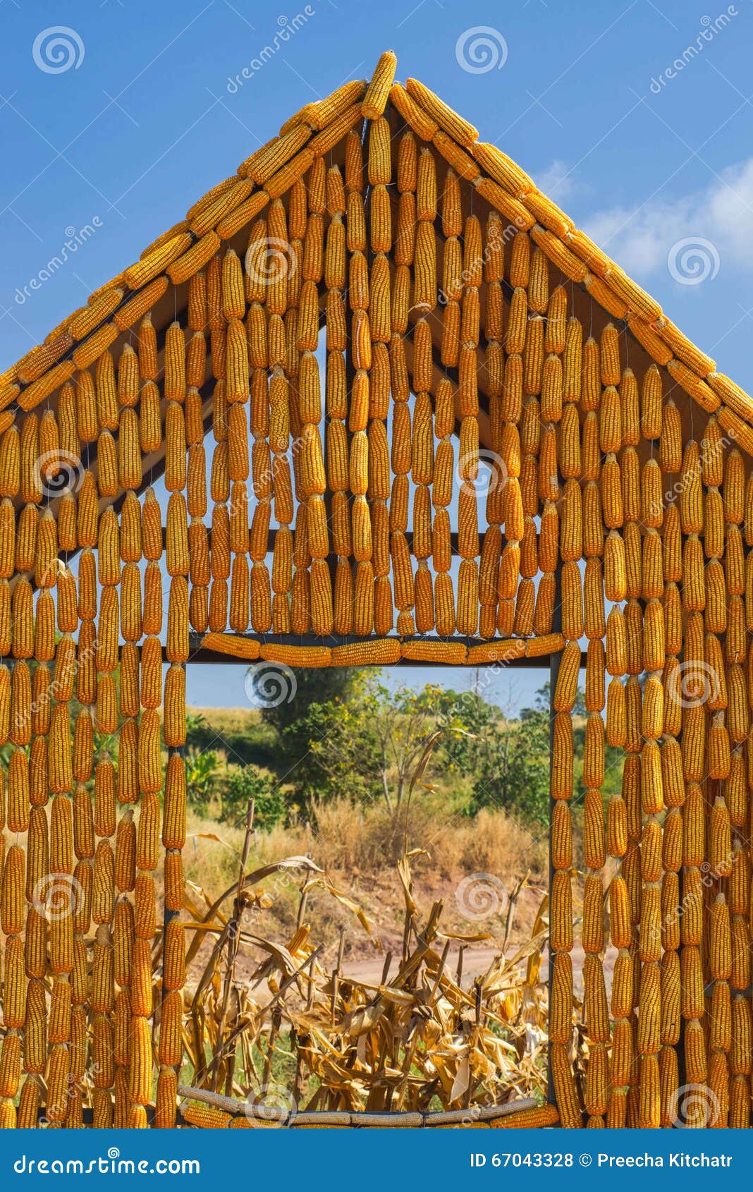 Corn house stock photo. Image of food, season, nature - 67043328