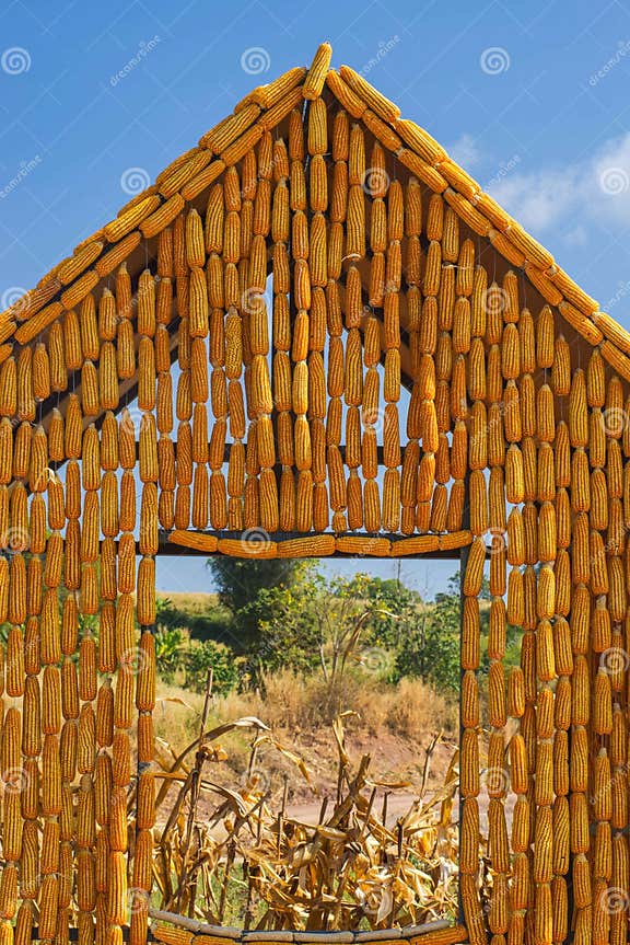 Corn house stock photo. Image of food, season, nature - 67043328