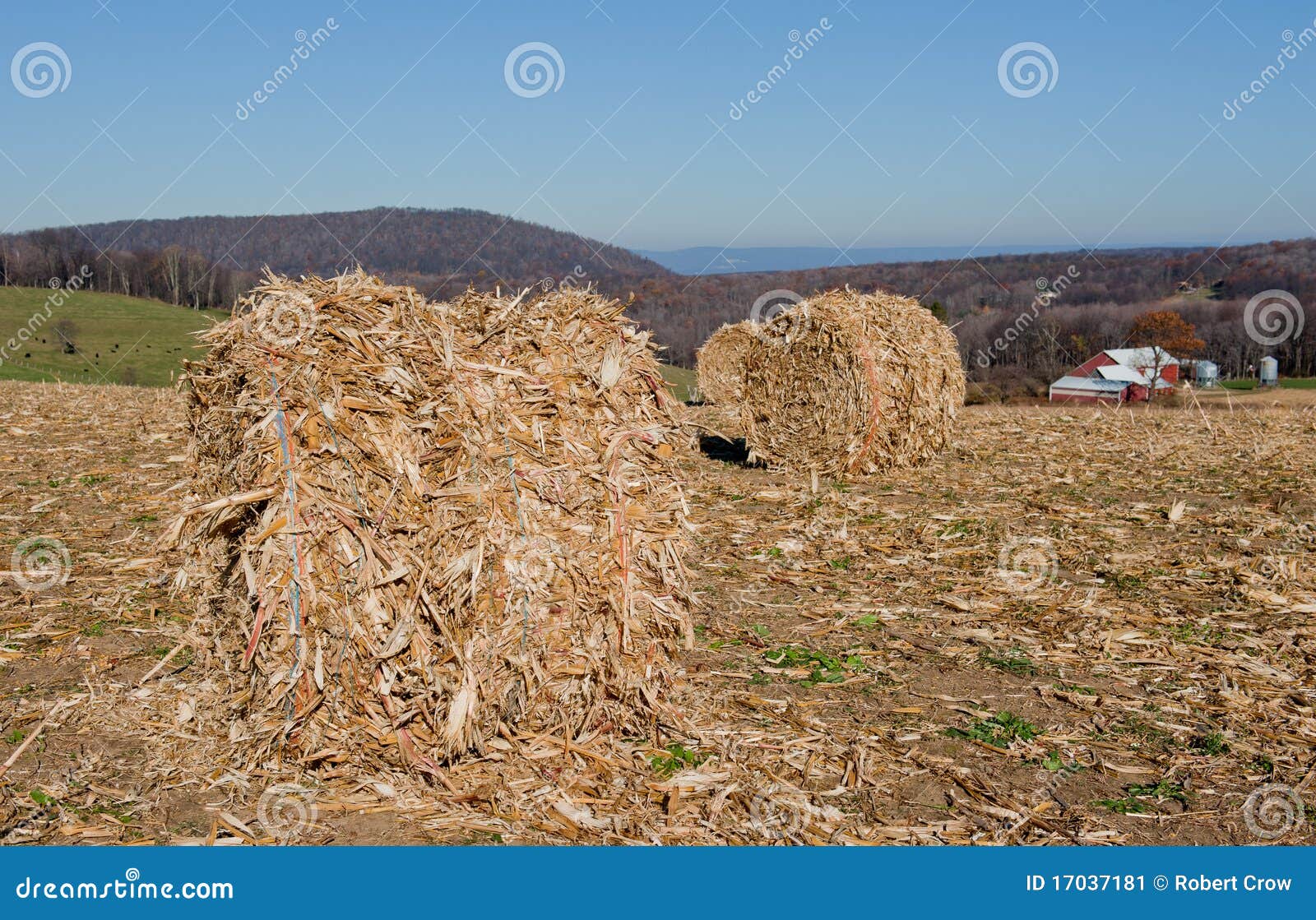 Corn Husker stock image. Image of states, forest, places - 17037181