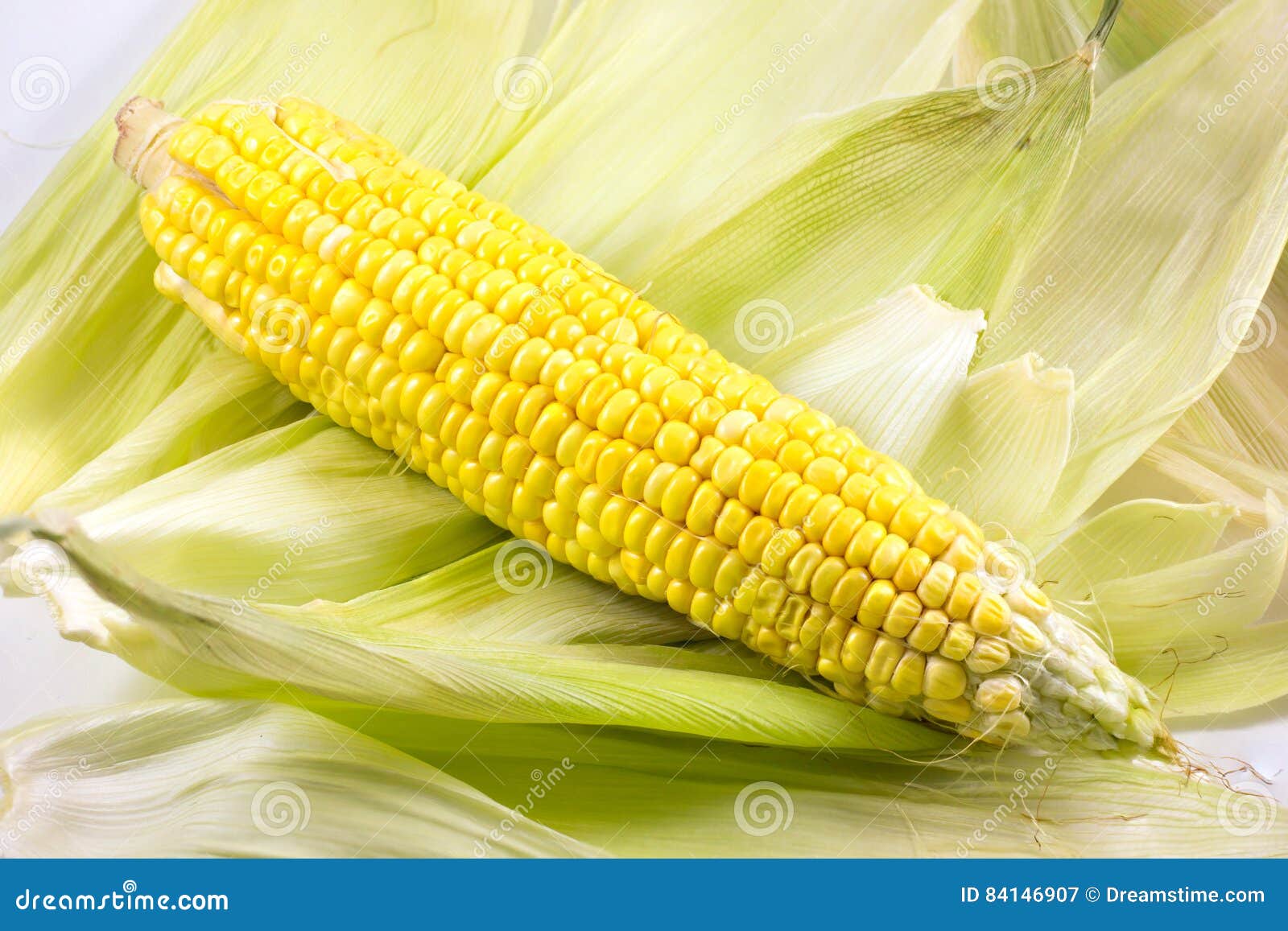 Corn on husks stock image. Image of healthy, isolated - 84146907
