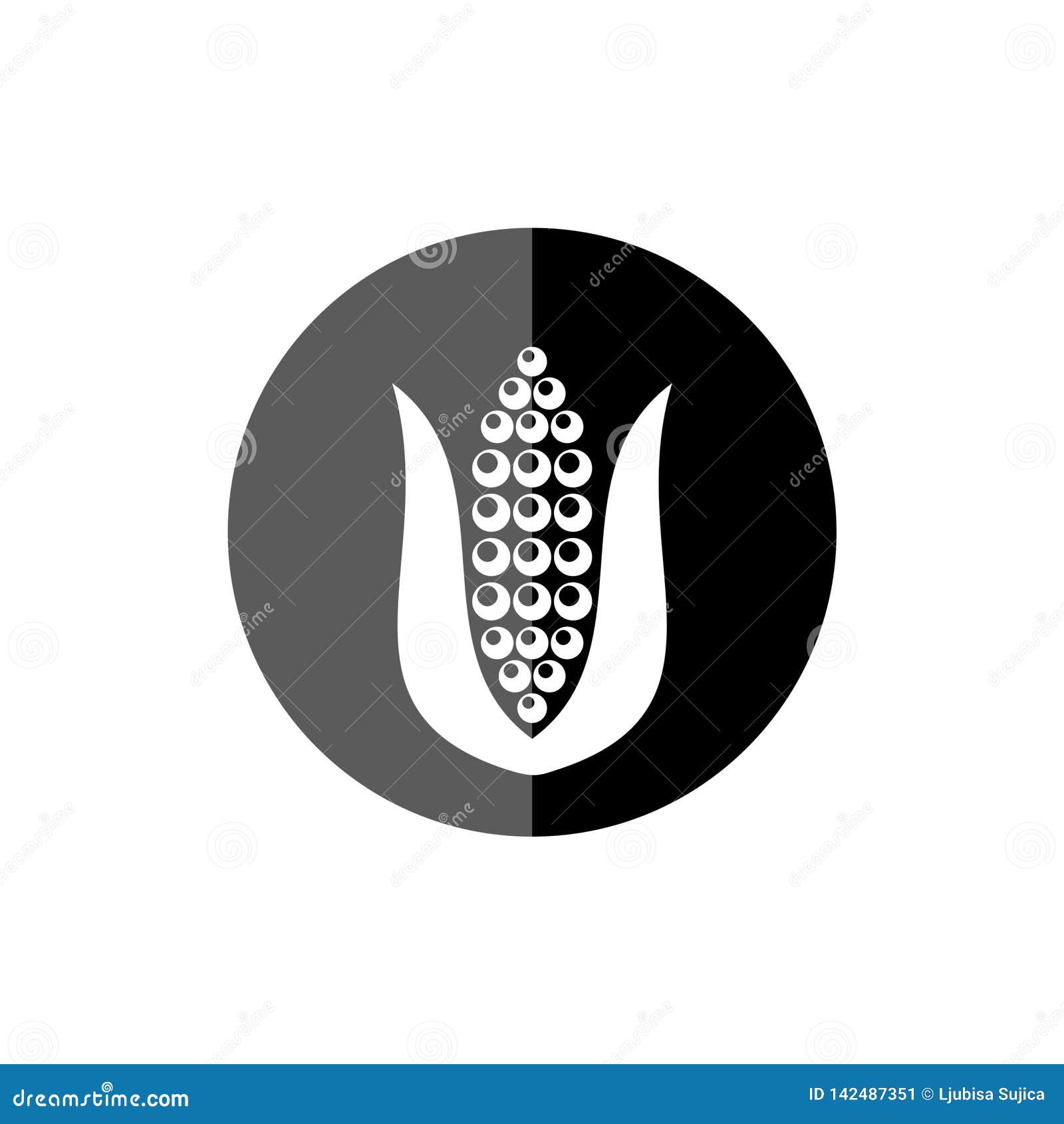 Corn icon or symbol stock vector. Illustration of kernels - 142487351