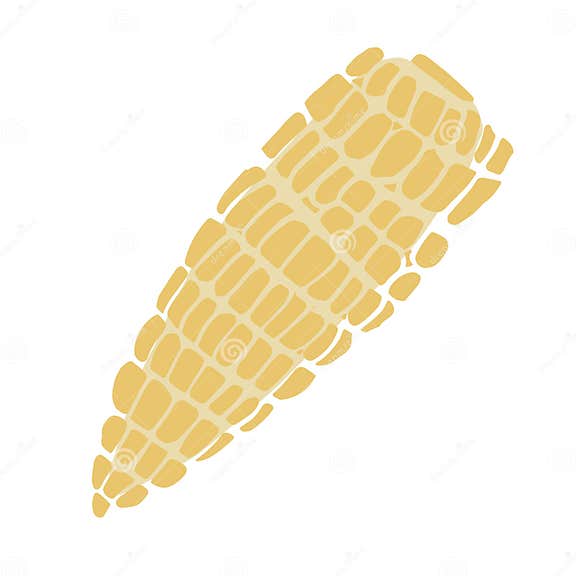 Corn Illustration, Cob Collage Picture Stock Vector - Illustration of ...