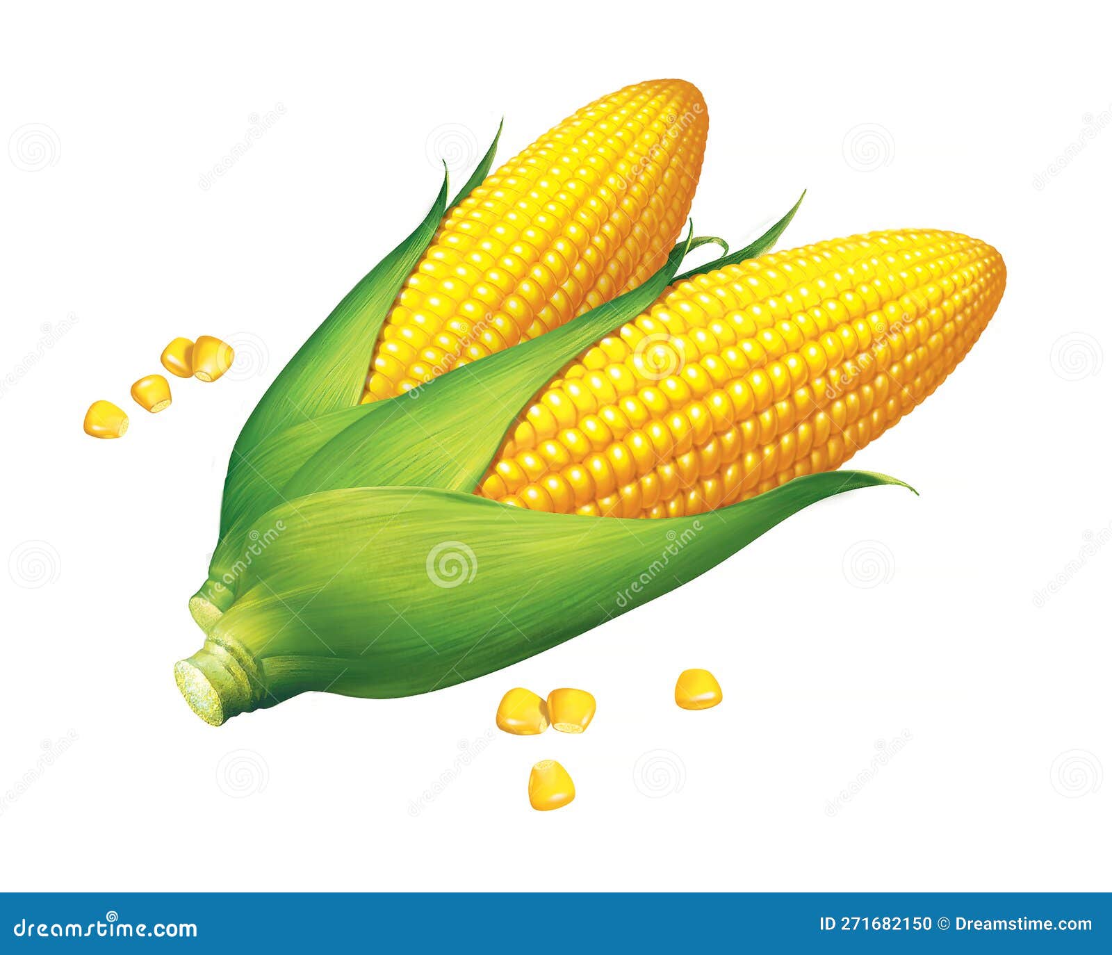 Corn illustration stock illustration. Illustration of plant - 271682150
