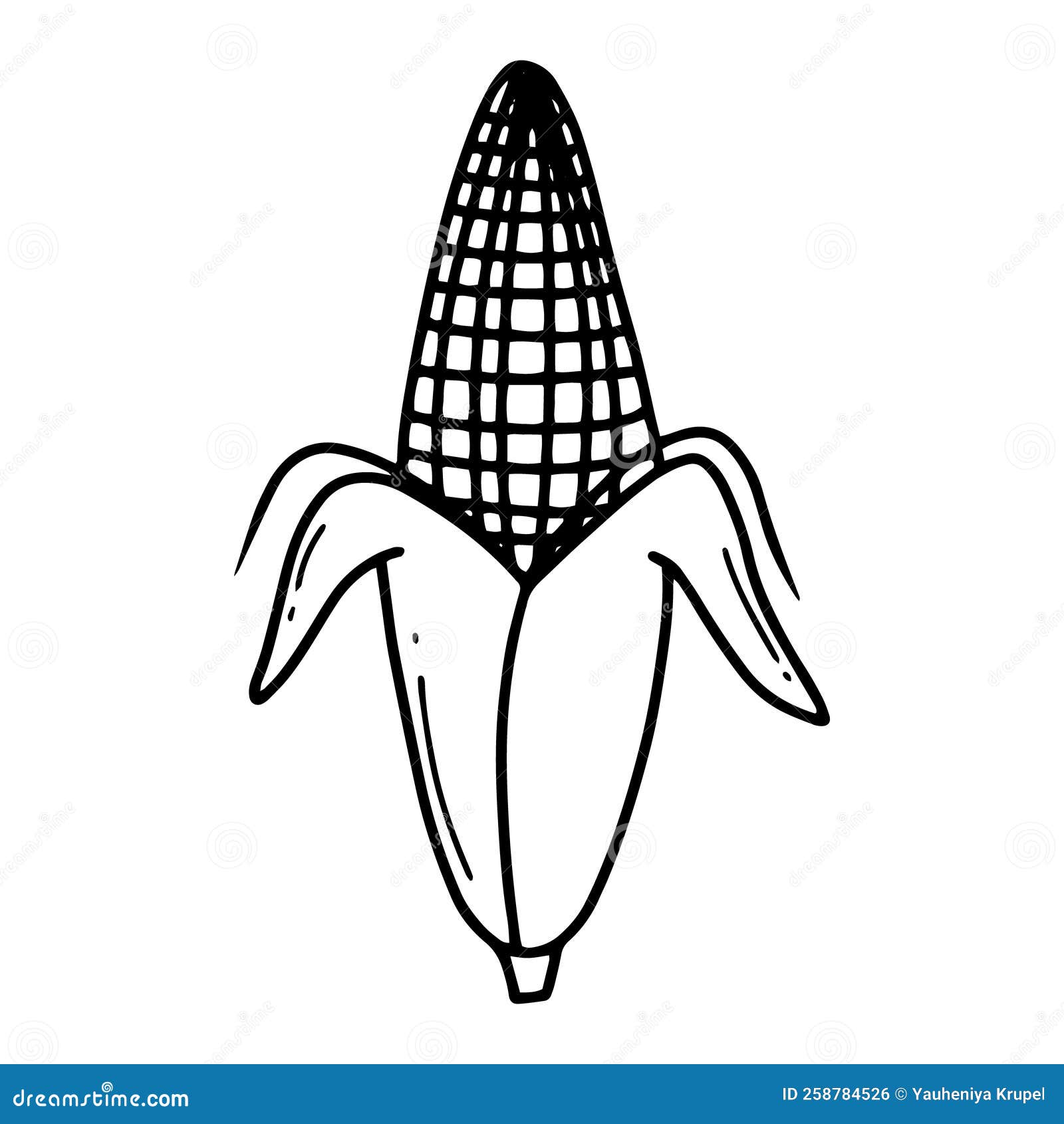 Corn Illustration. Hand Drawn Corn Cob.Doodle Style. Stock Vector ...