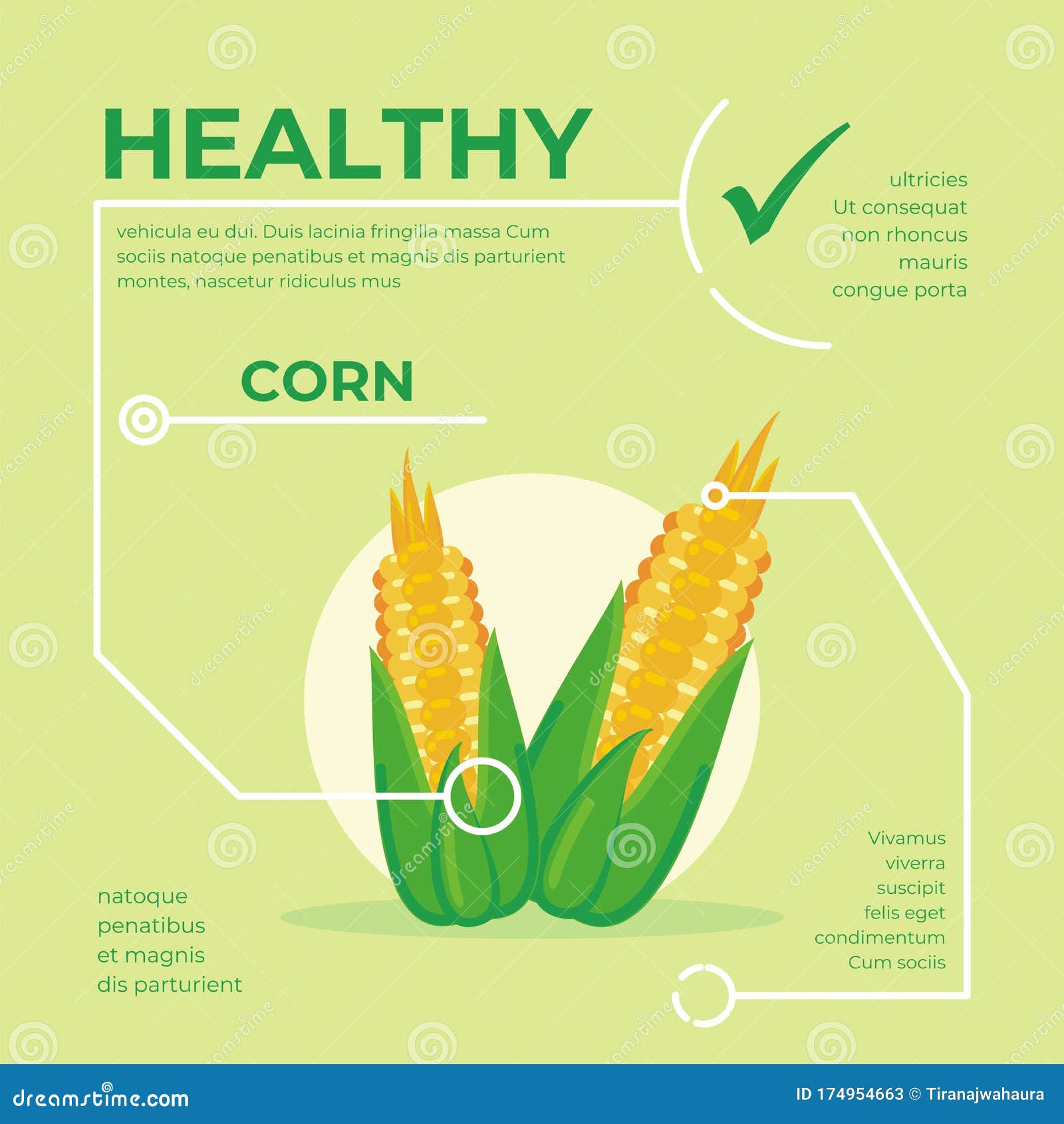 Infographic Corn Planting. Planting Process. Growing Stages. Seedling ...