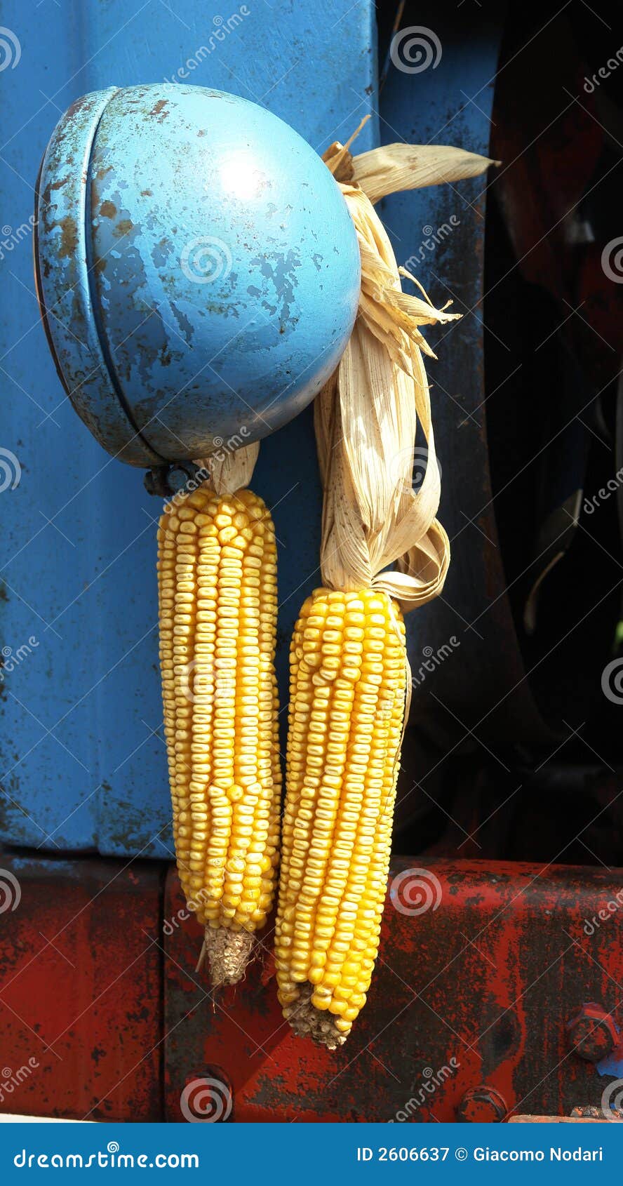Corn and iron stock image. Image of rusty, tractor, headlamp - 2606637