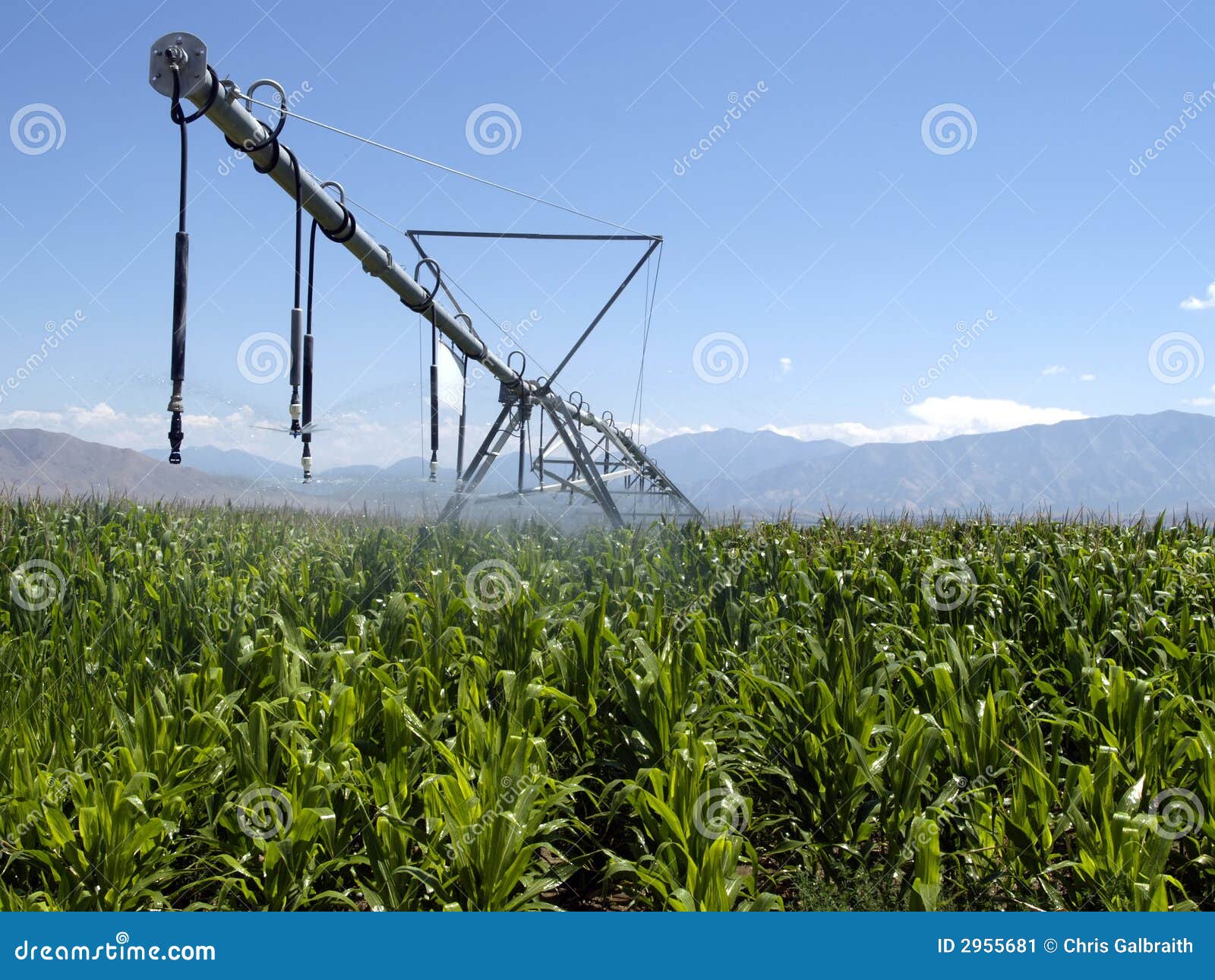 Corn irrigation stock image. Image of mechanized, water - 2955681