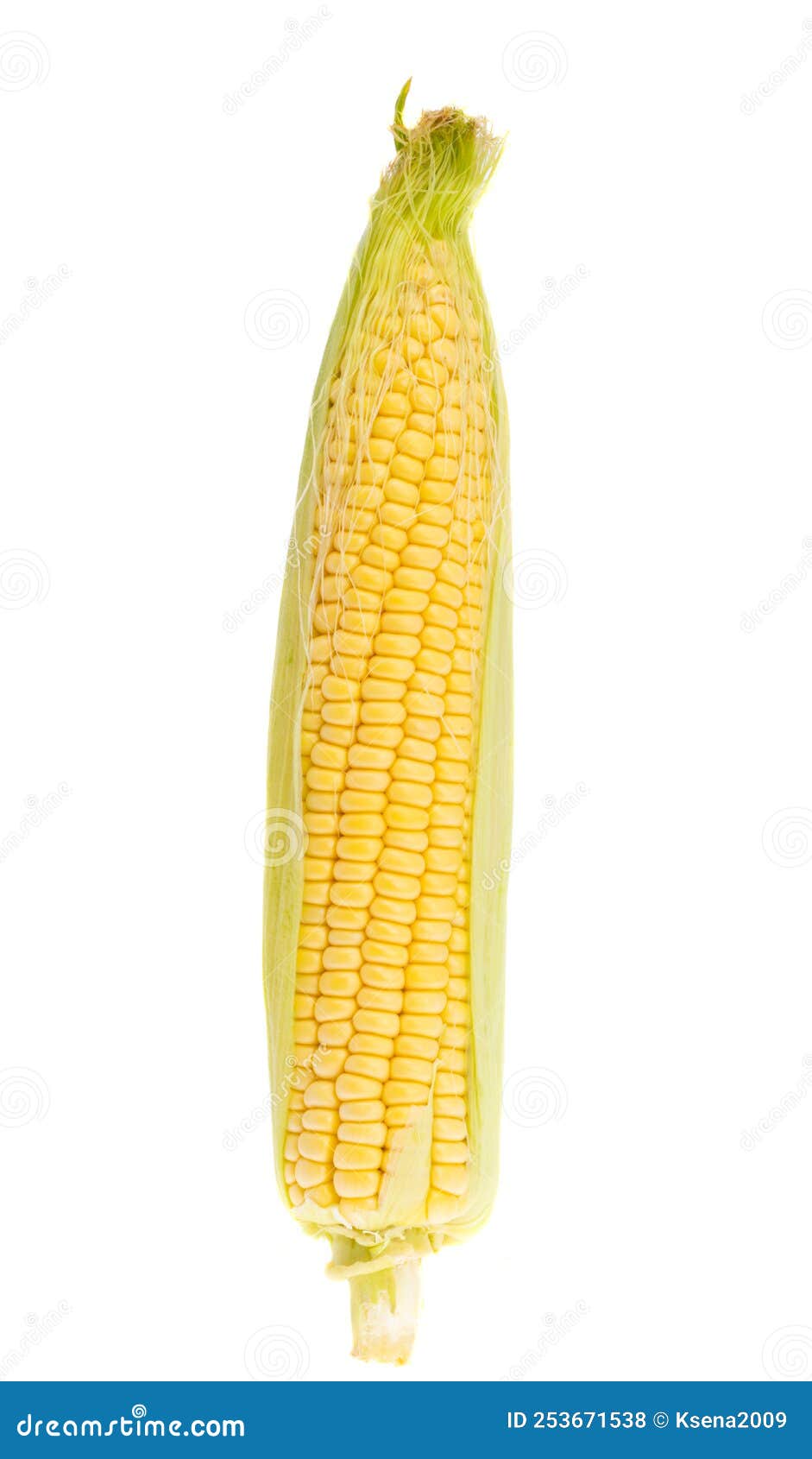Corn cereal isolated stock photo. Image of grain, nutrition - 253671538
