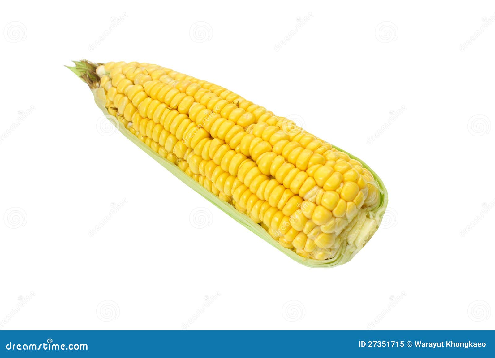 Corn Isolated on a White Background Stock Image - Image of kernels ...