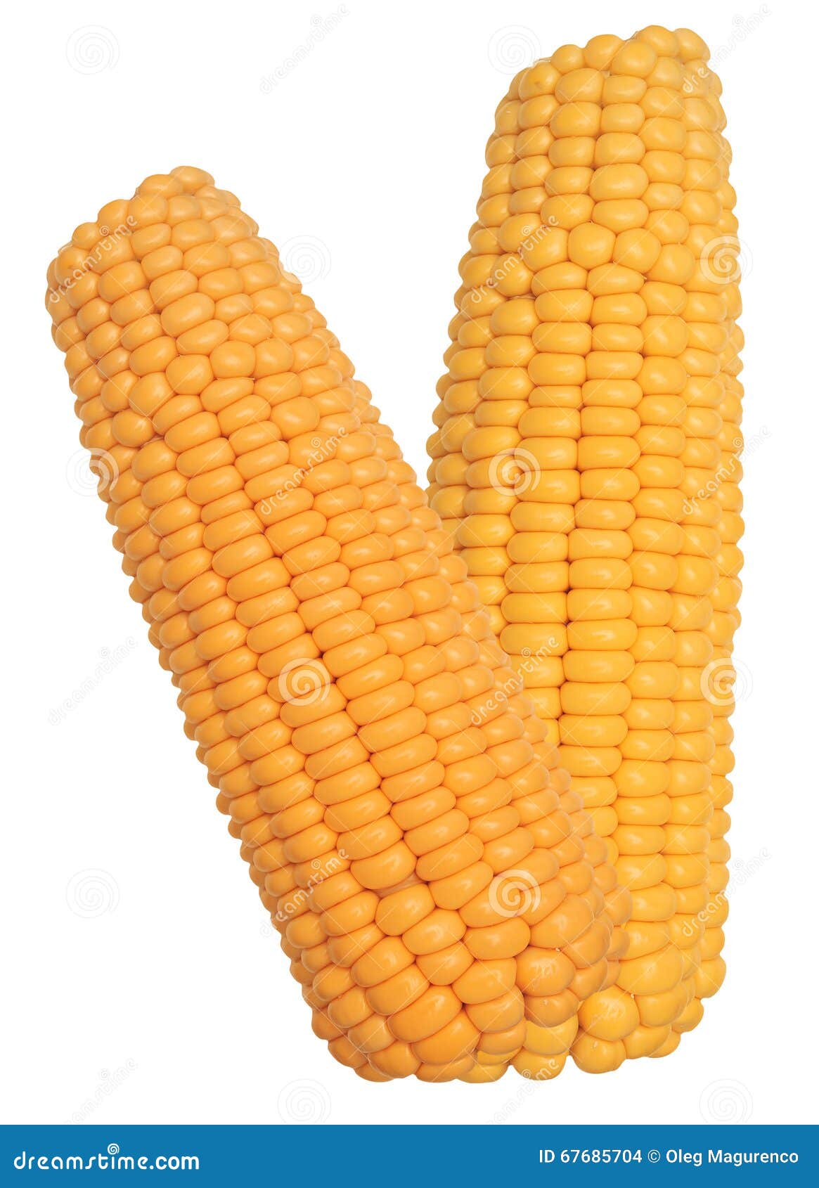 Corn isolated on white stock photo. Image of macro, ingredient - 67685704